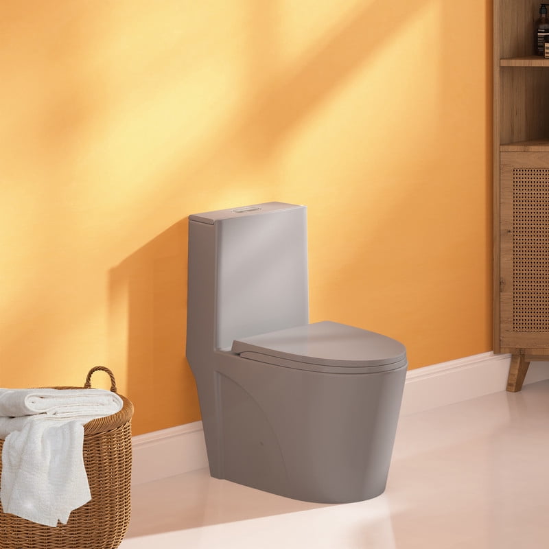 SUNRINX Light Gray One-Piece Toilet, 17.1" ADA Comfort Chair Height ...