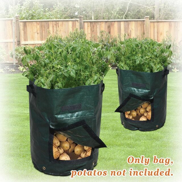 SUNRISEUMBRELLA Potato Grow Planter PE Bag for Vegetables Container Tub ...