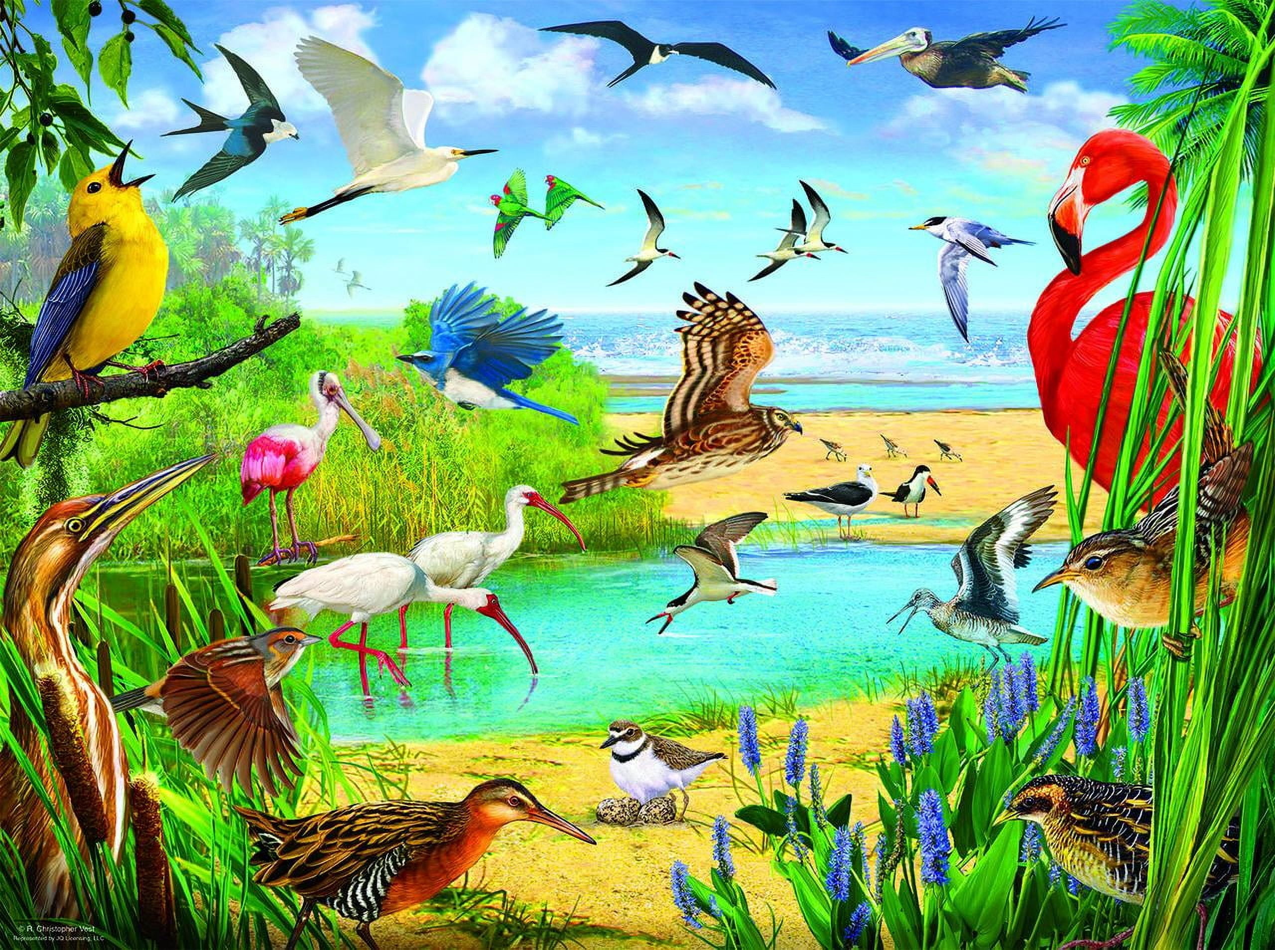SUNSOUT INC - Florida Birds - 1000 pc Jigsaw Puzzle by Artist: R ...