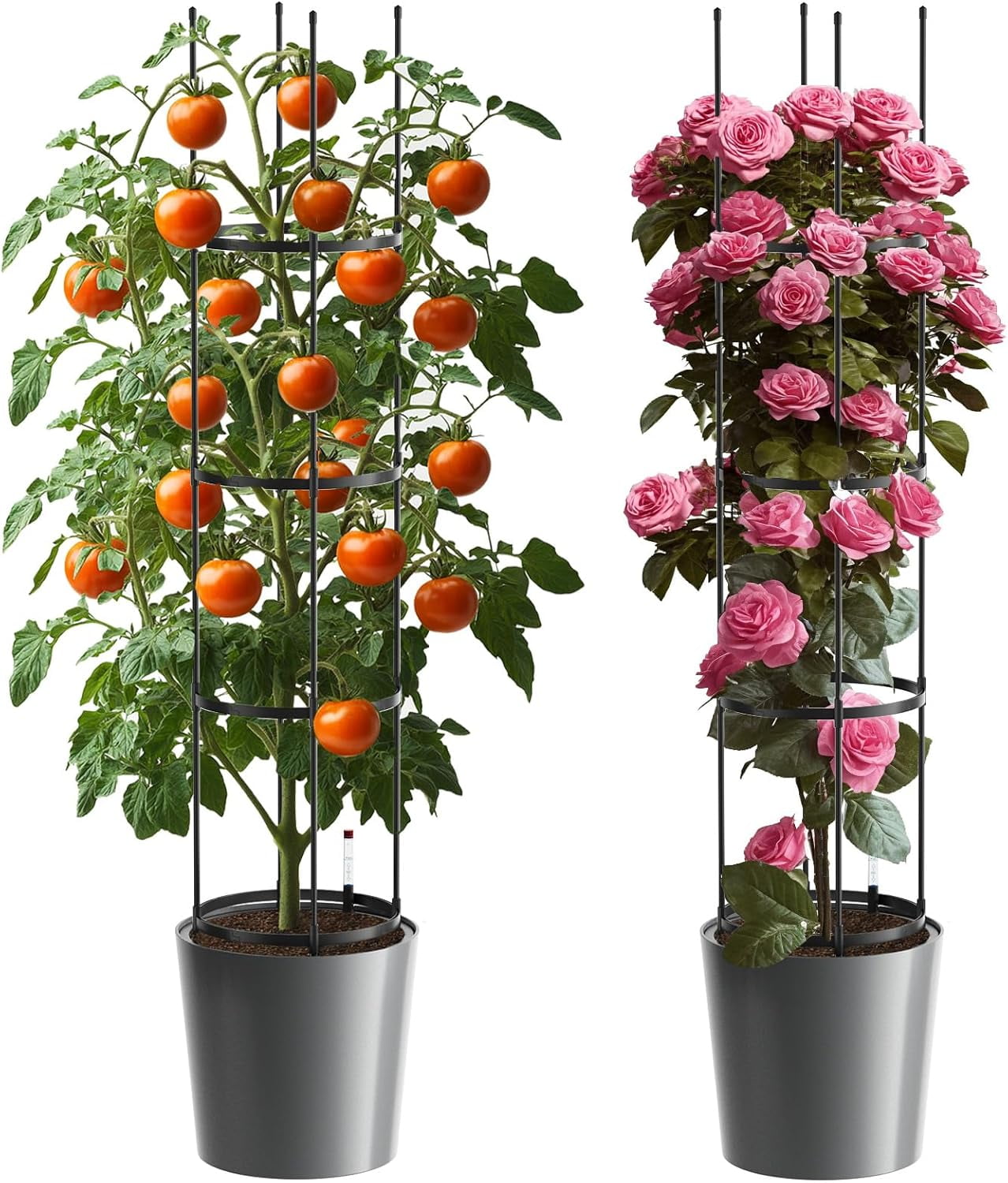 SUNYRISY 2Pack Planter Box with Tomato Cage, Self Watering Tomato ...