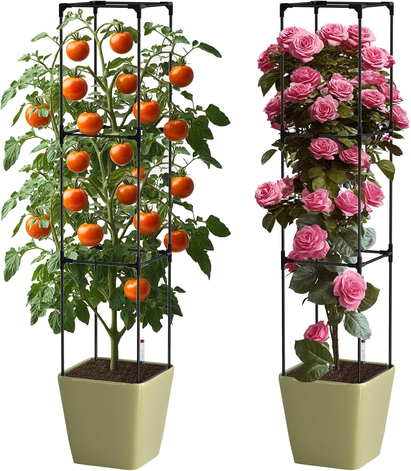 SUNYRISY 2Pack Planter Box with Tomato Cage, Self Watering Tomato ...