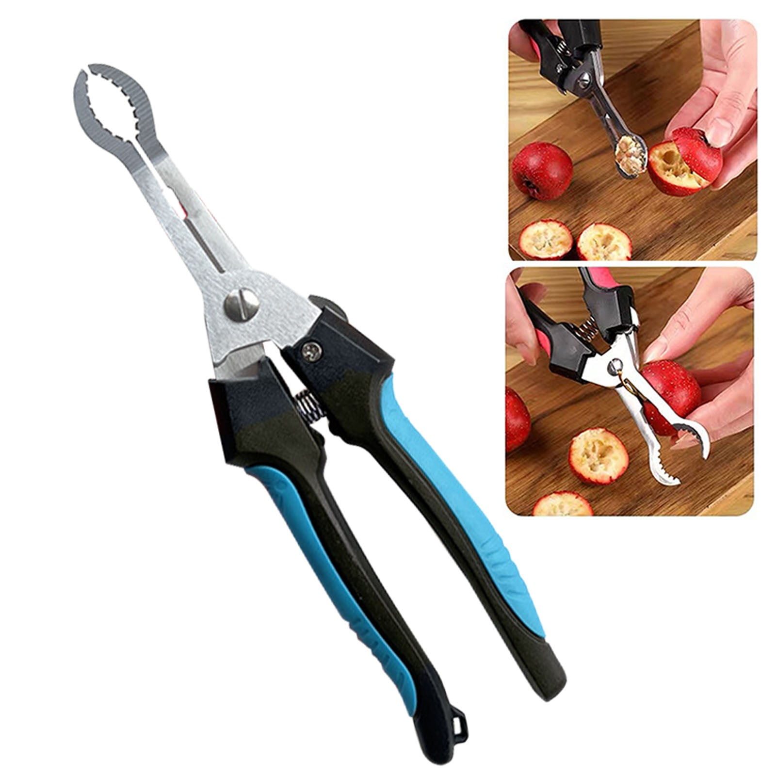 SUOKL Cherry Pitter Seedless Pitting Pliers Spring Scissors Rock Sugar ...