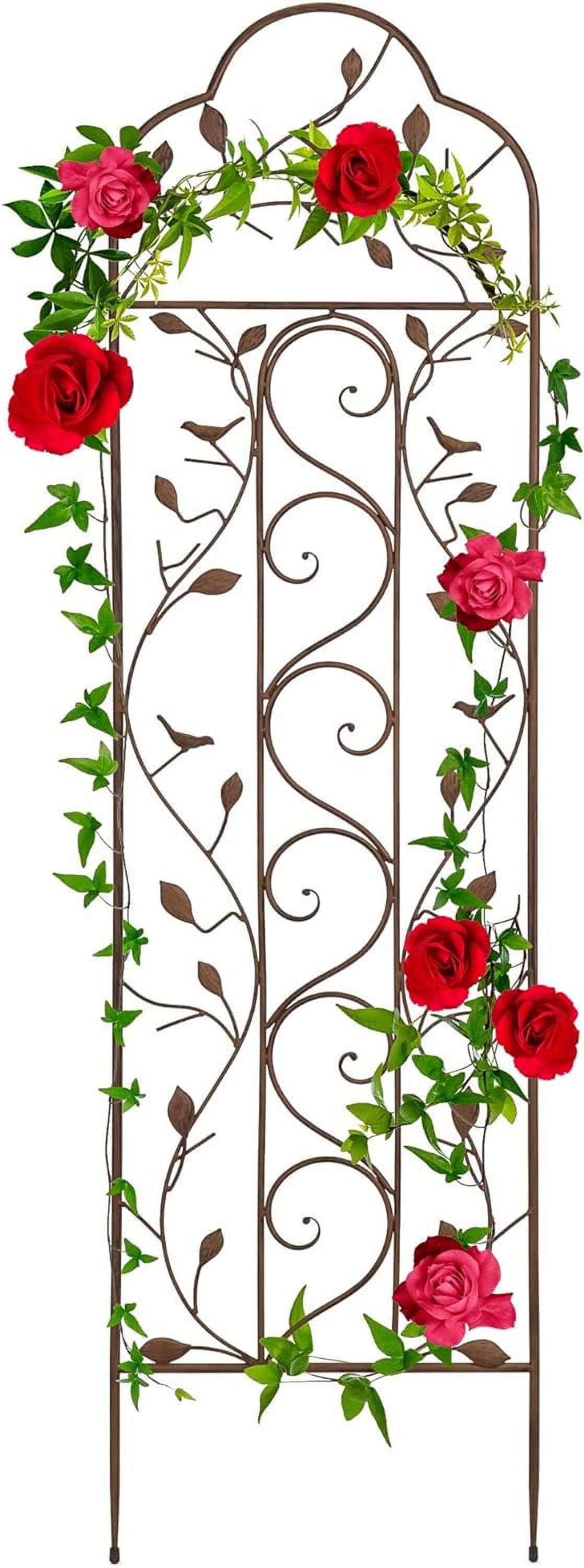 SUPQ 60x15in Iron Garden Trellis, Arched Outdoor Decoration w/Branches ...