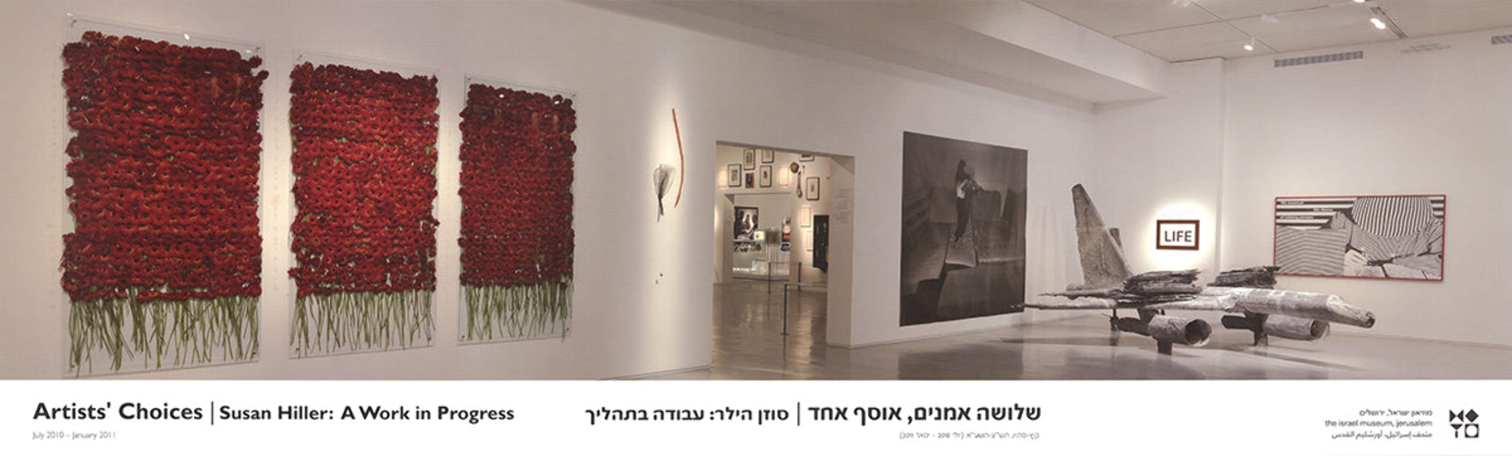 SUSAN HILLER A Work in Progress, 2010 - Walmart.com