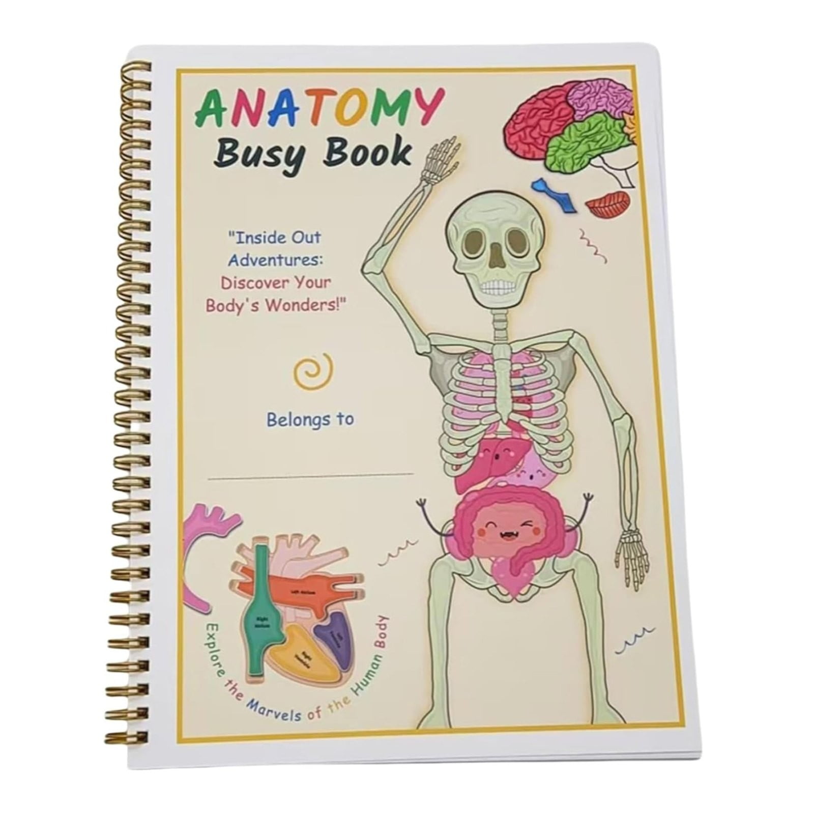 SUSHANG Busy Book for Kids, Human Body Anatomy Book for Toddlers ...