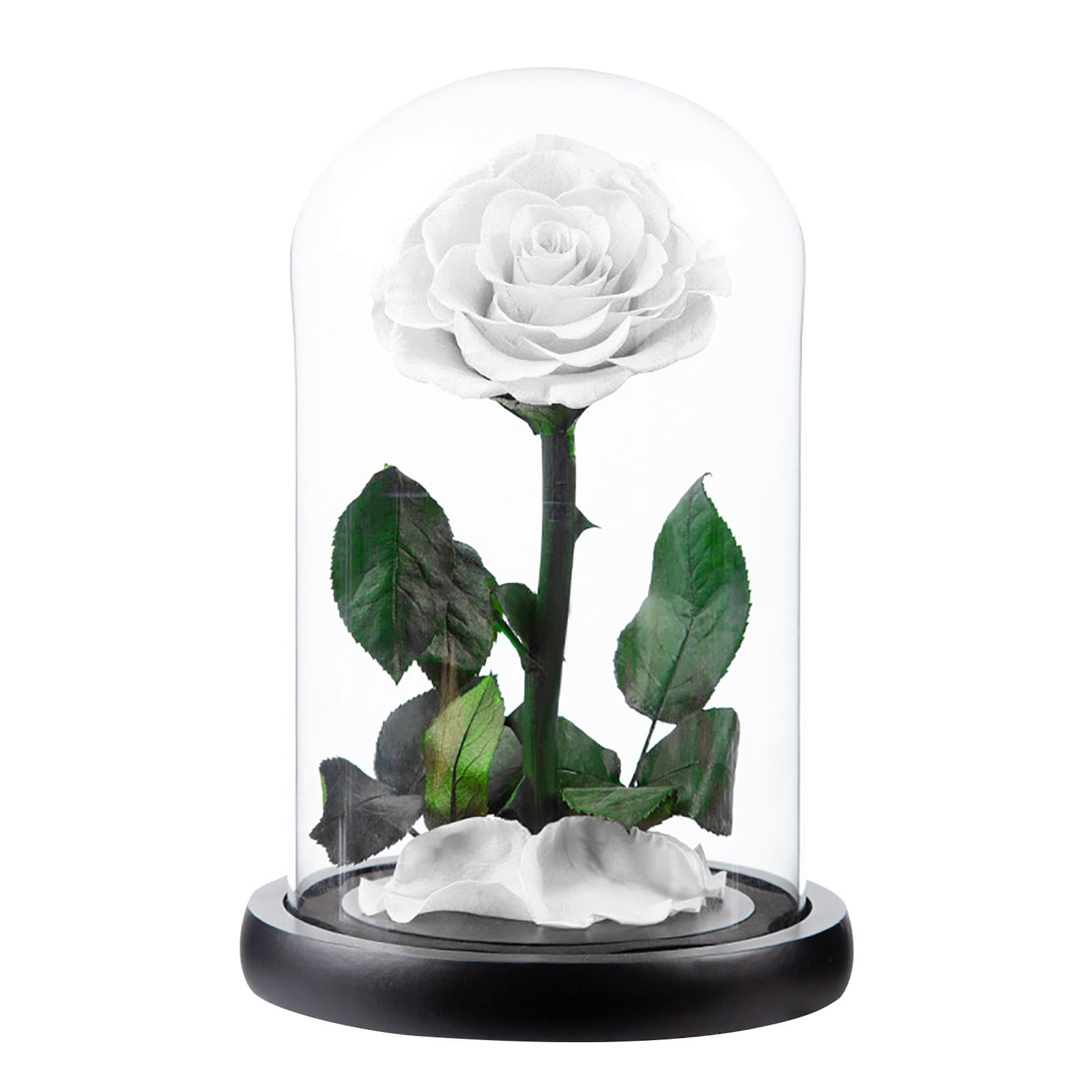 SUSHANG Everlasting Flower Roses Gift for Her Birthday Gifts for Women ...