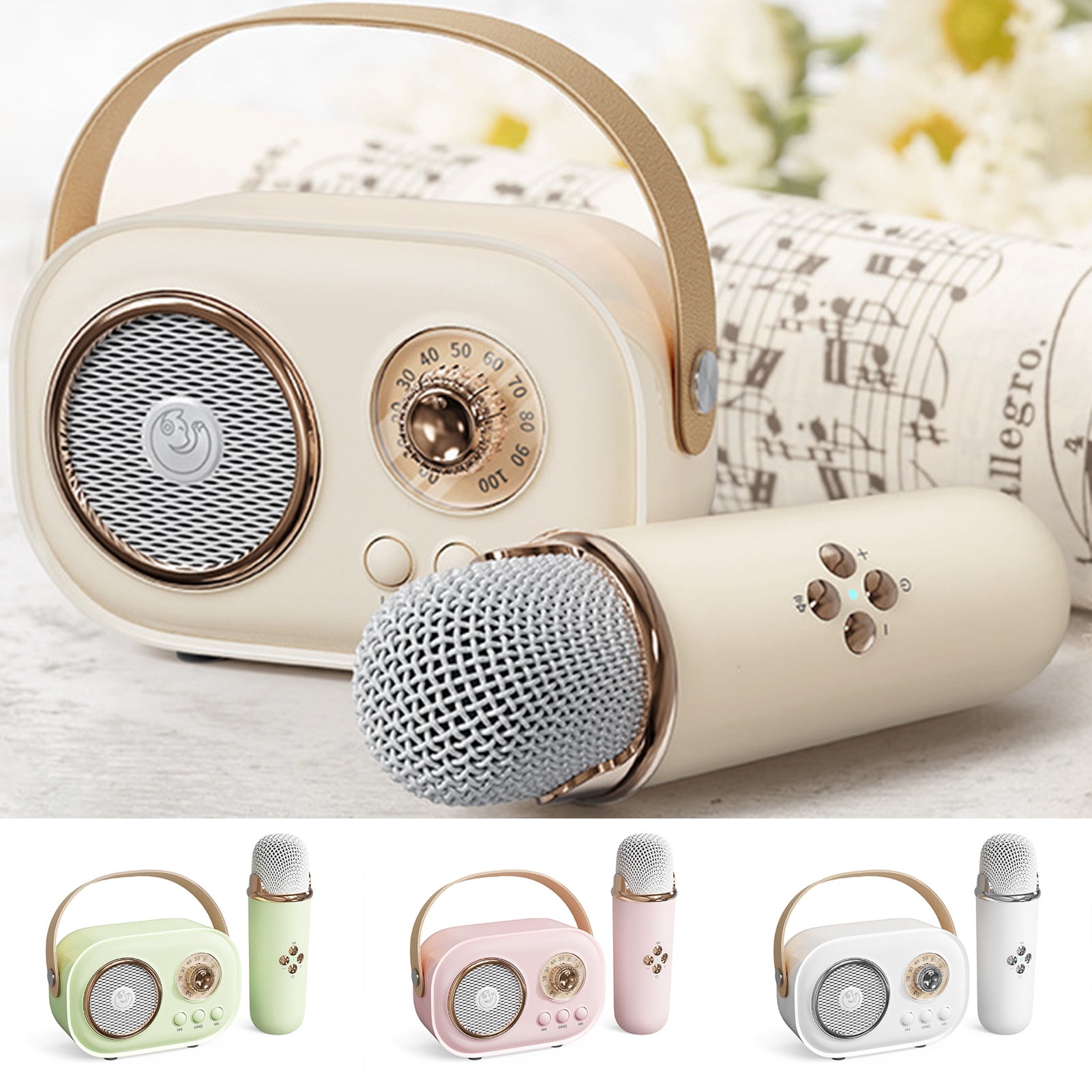 SUSUchens Karaoke Speaker Multifunctional Music with Wireless ...