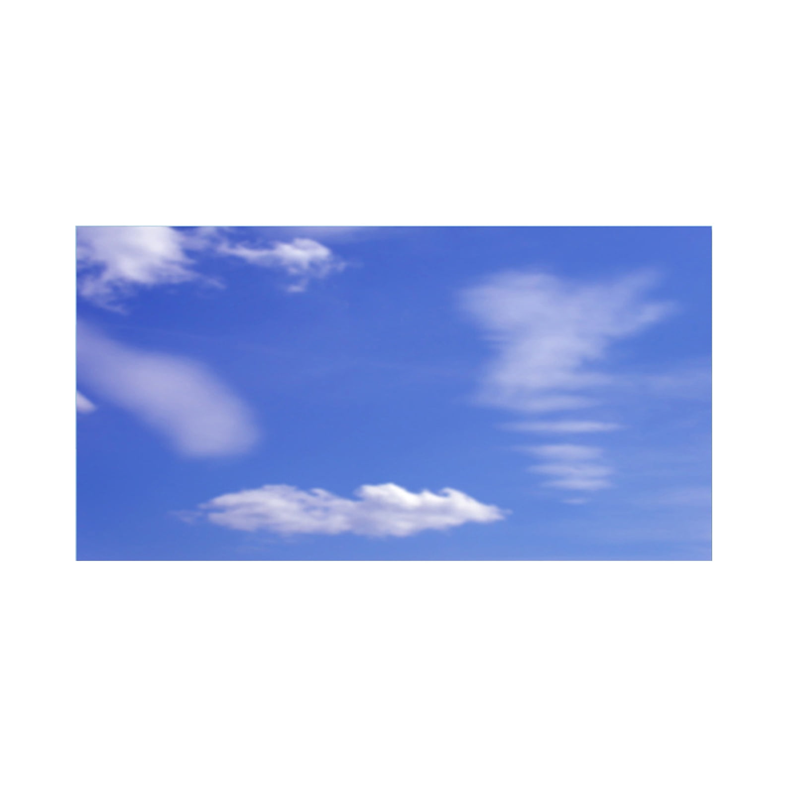 SUSUchens Lampshade Light Cover Refreshing Nature Print Ceiling Lights ...