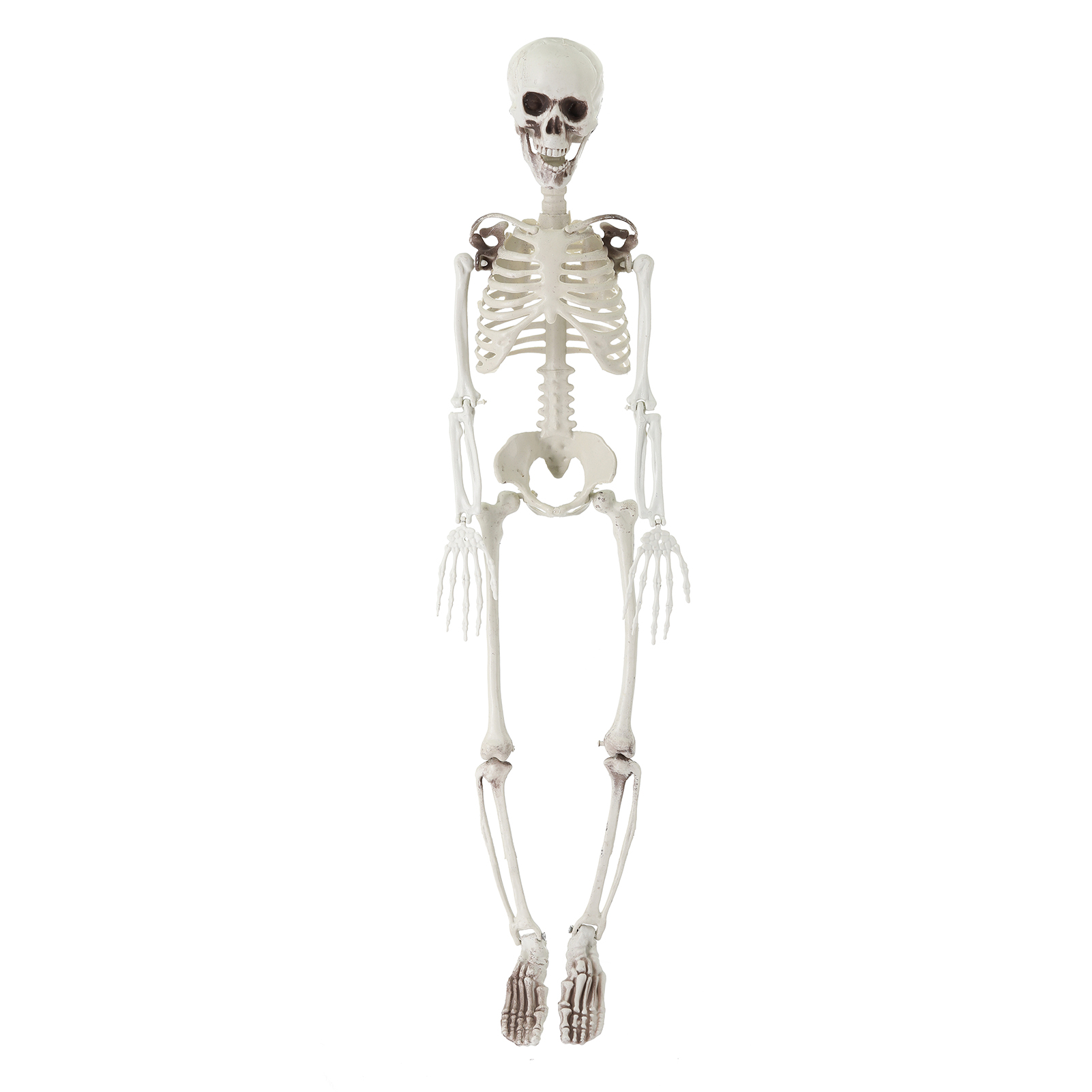 SUSUchens Scary Skull Skeleton Realistic Movable Skeleton Props Scary ...