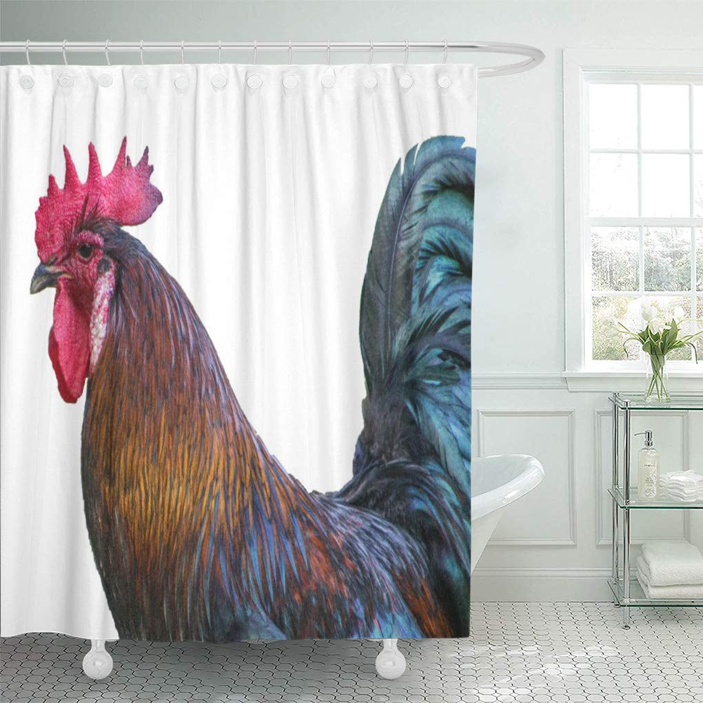 SUTTOM Chicken Rooster Livestock Farm Country Shower Curtain 66x72 inch ...