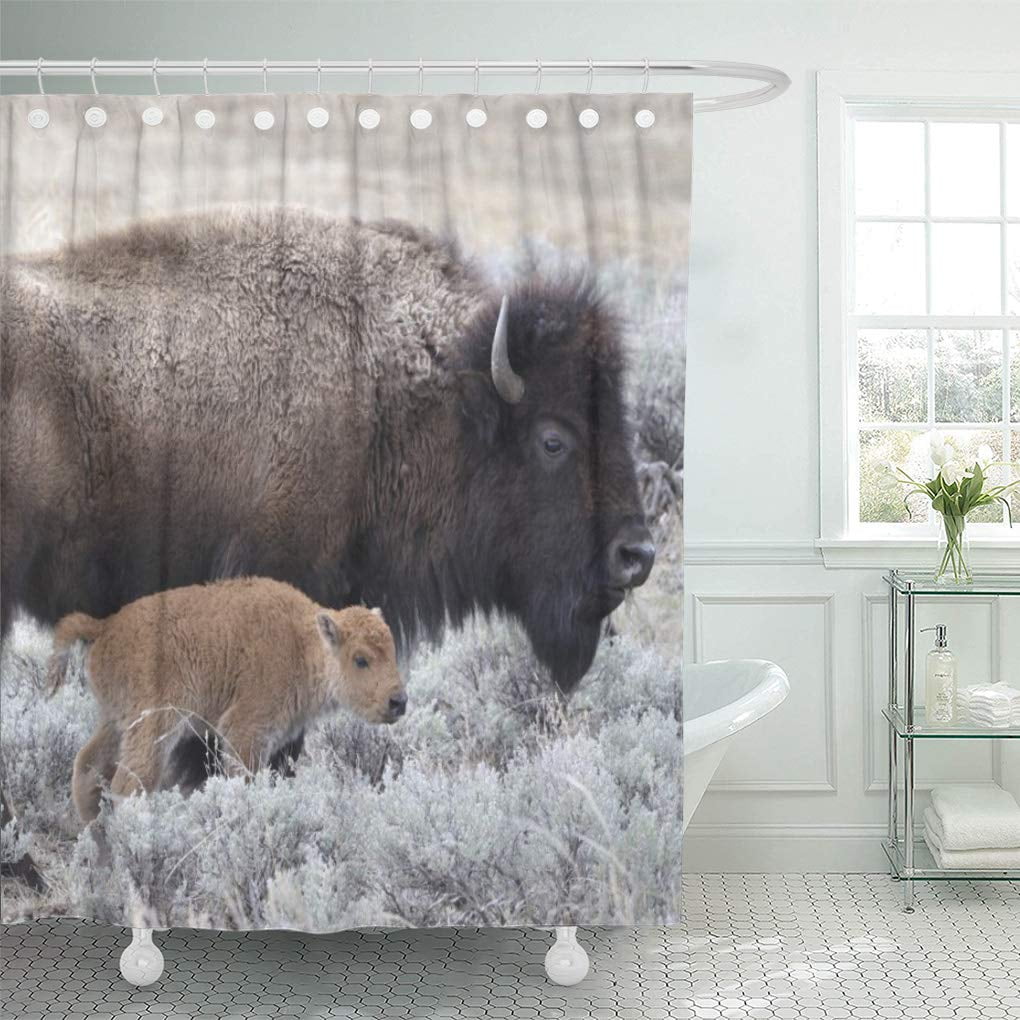 SUTTOM Cow and Calf Bison Baby Biologist Buffalo Conservation Shower ...