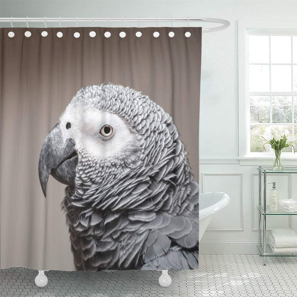 SUTTOM Mimic Congo Grey Gray Talker Bird Shower Curtain 66x72 inch ...