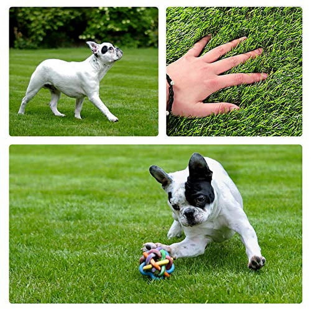 SV Household Decor Realistic Deluxe Artificial Grass Synthetic Thick ...