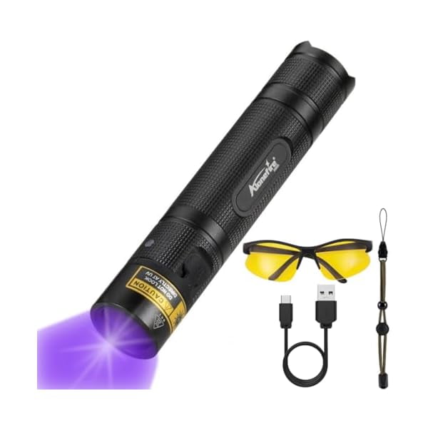 SV005 10W 365nm UV Flashlight Black Light Powerful USB Rechargeable ...