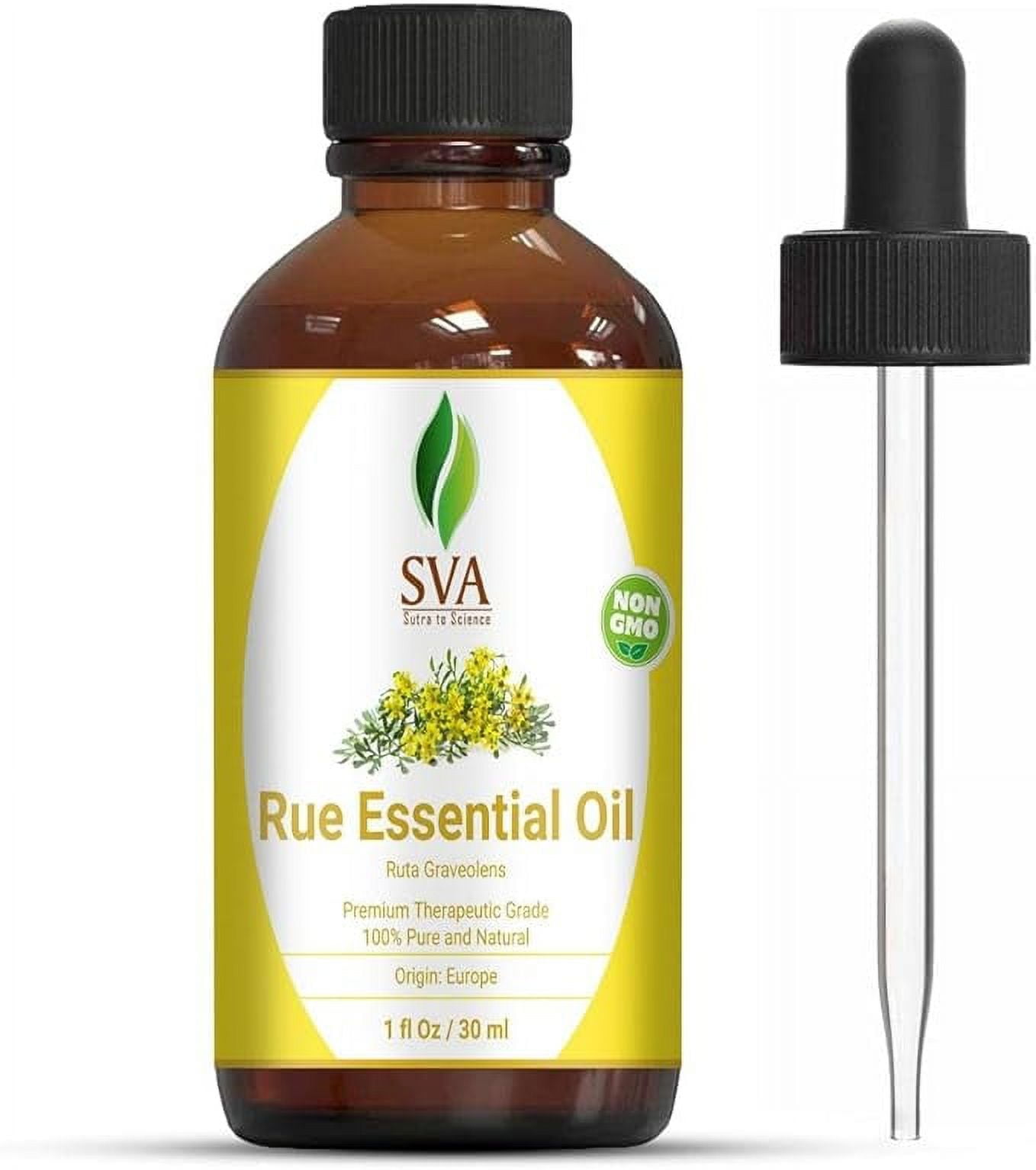 SVA Organics Rue Essential Oil 1 Oz 100% Pure Natural Premium ...