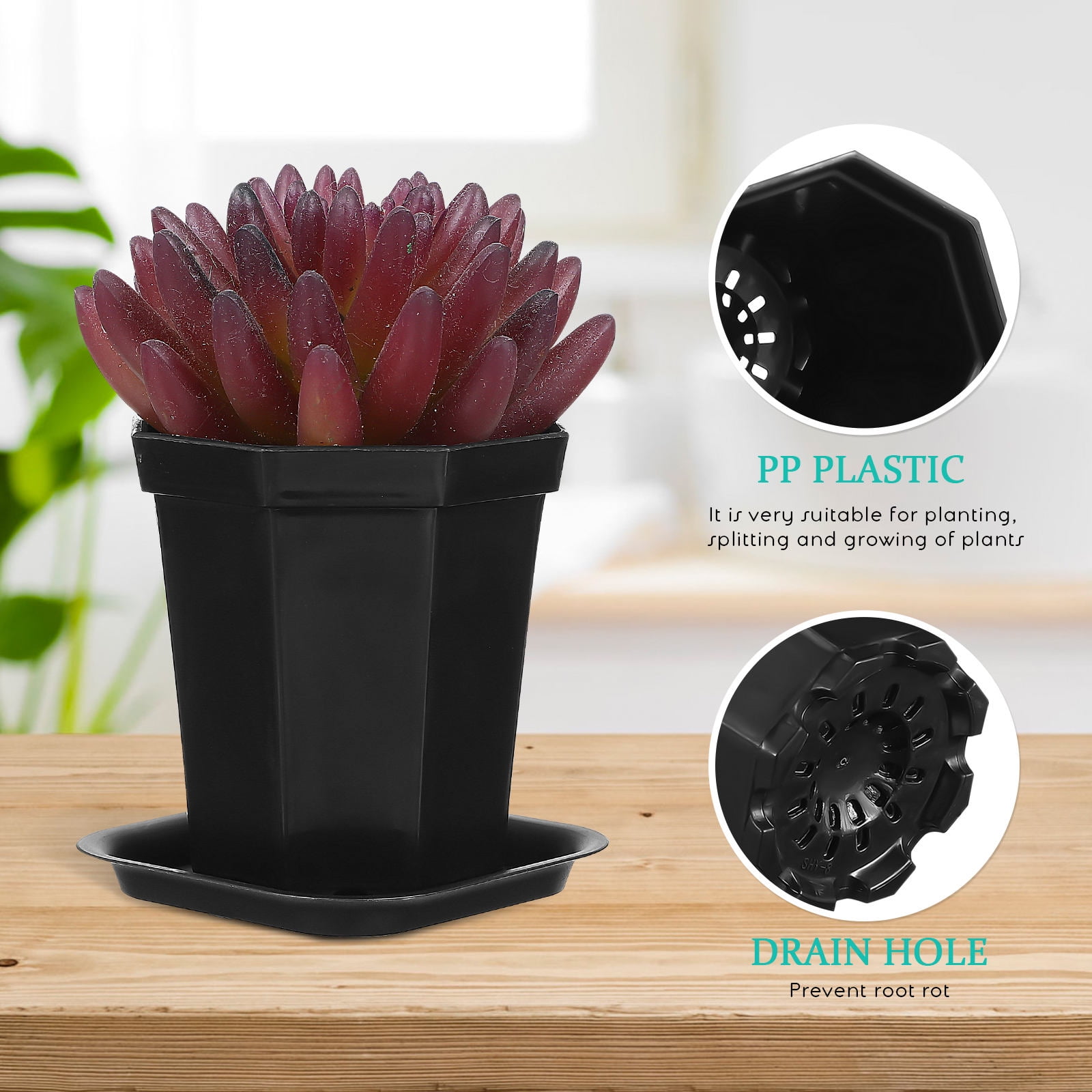 SWETRACE 10 Set Black Plastic Plant Pots for Succulents with Space ...