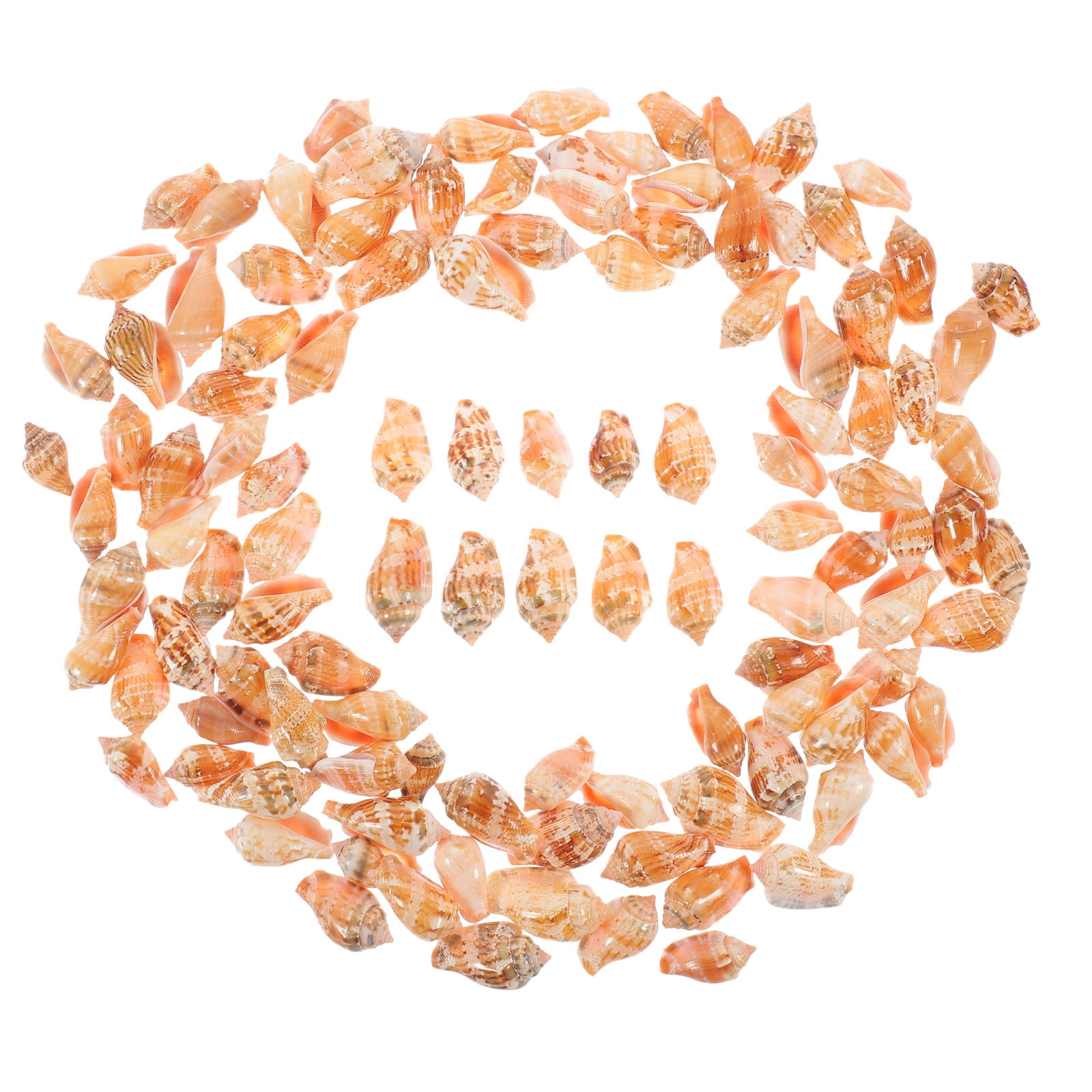 SWETRACE 100Pcs Assorted Color Diy Sea Shell Conch for Sea Theme ...