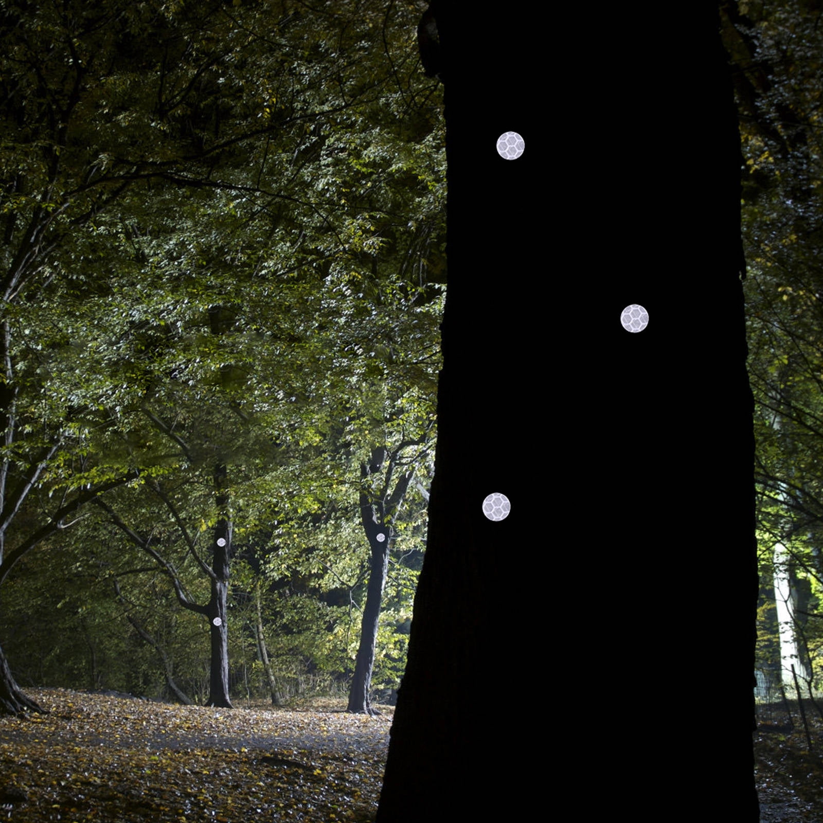 SWETRACE 100Pcs Metal Thumb Tacks for Hiking Marking Trails in Low ...