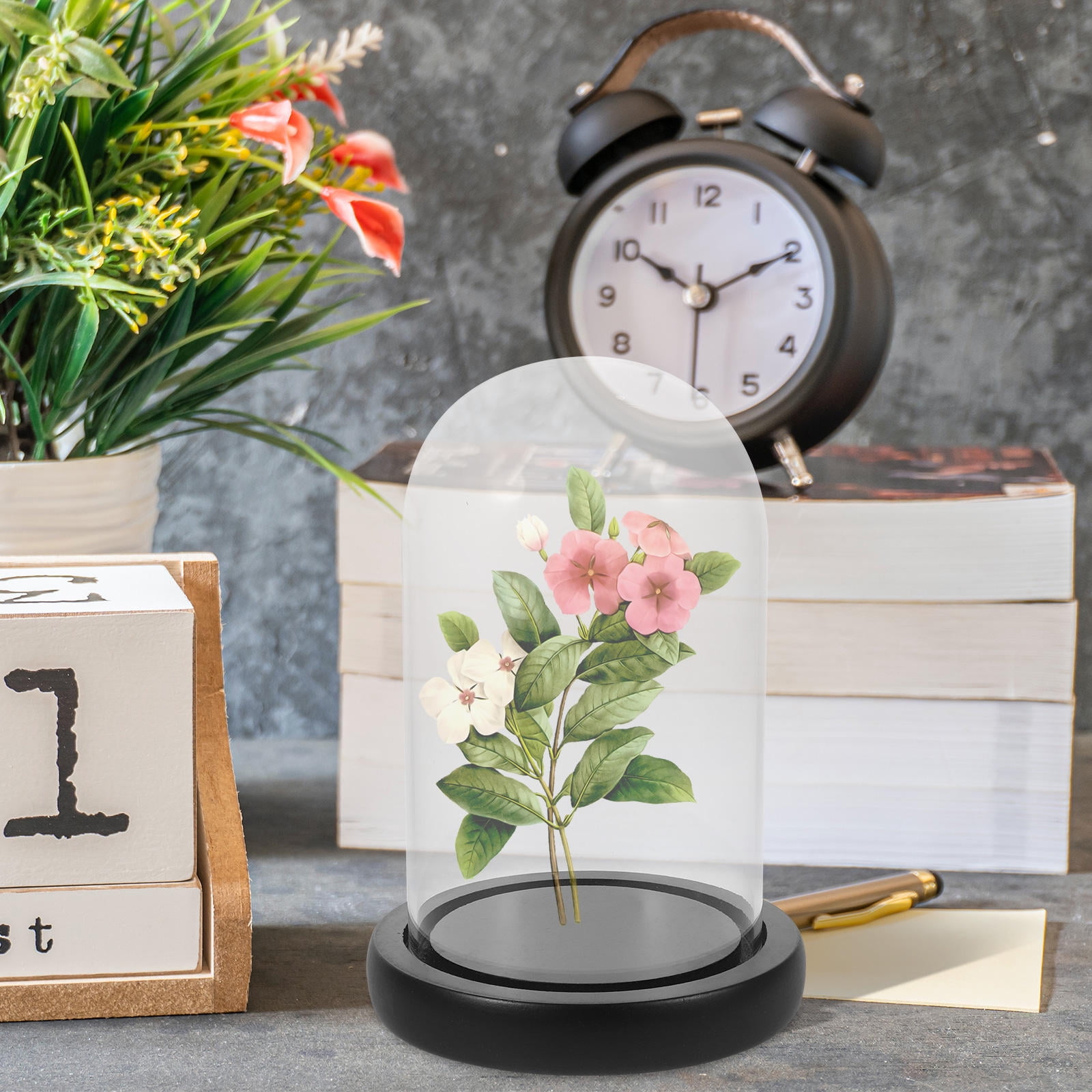 SWETRACE 1Pack Clear Display Case Glass Domes For Display Round ...