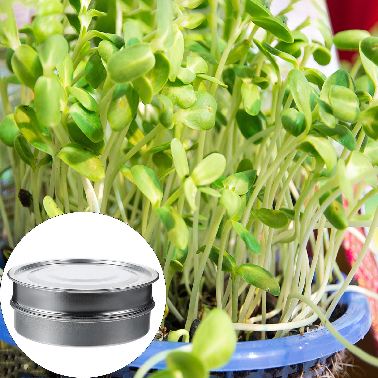 SWETRACE 1Set Sprouting Kit Tray Stainless Steel for Home Gardening 8 ...