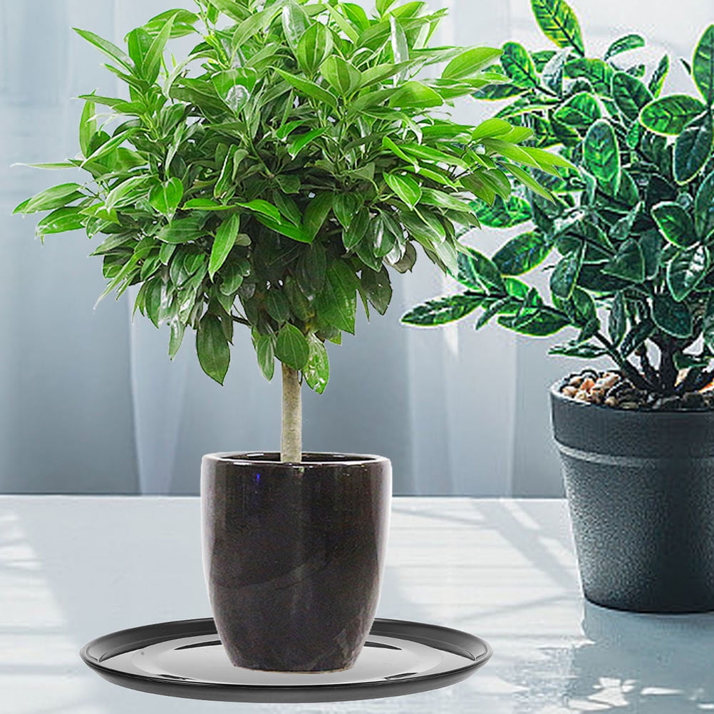 SWETRACE 3Pcs Round Plastic Plant Saucer for Indoor and Outdoor Use ...