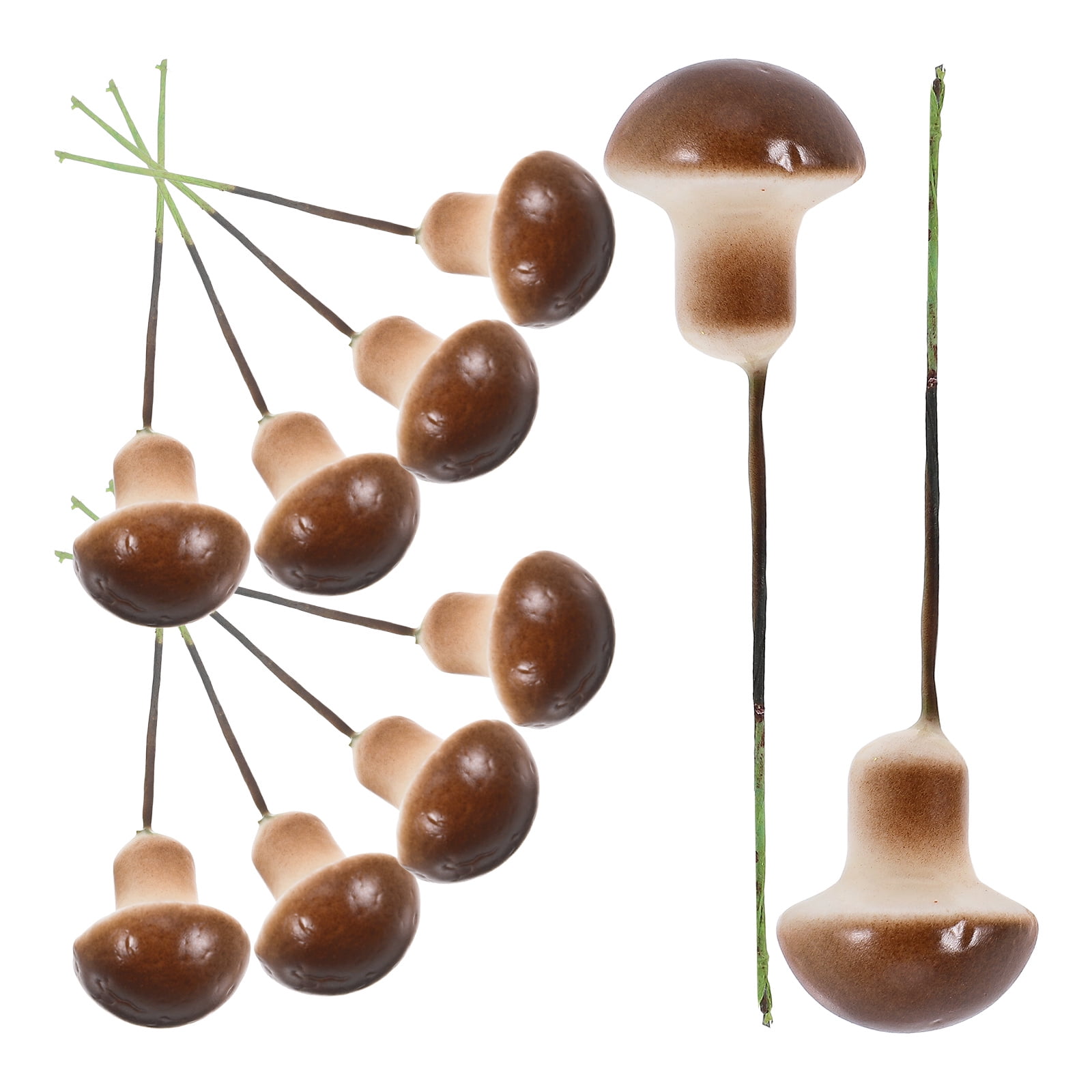 SWETRACE Dark Brown Miniature Mushrooms 50Pcs for DIY Terrariums and ...