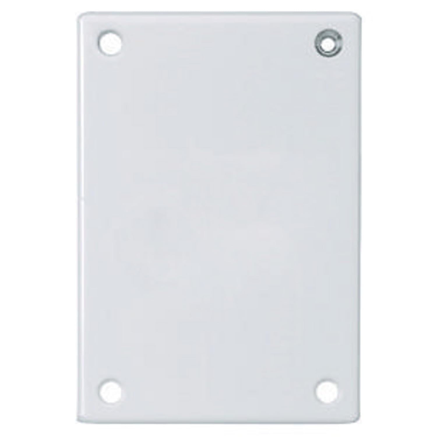 SWP13 Cold Rolled Zinc Plated Steel Security Wall Plate, 1 Gang, 1 ...