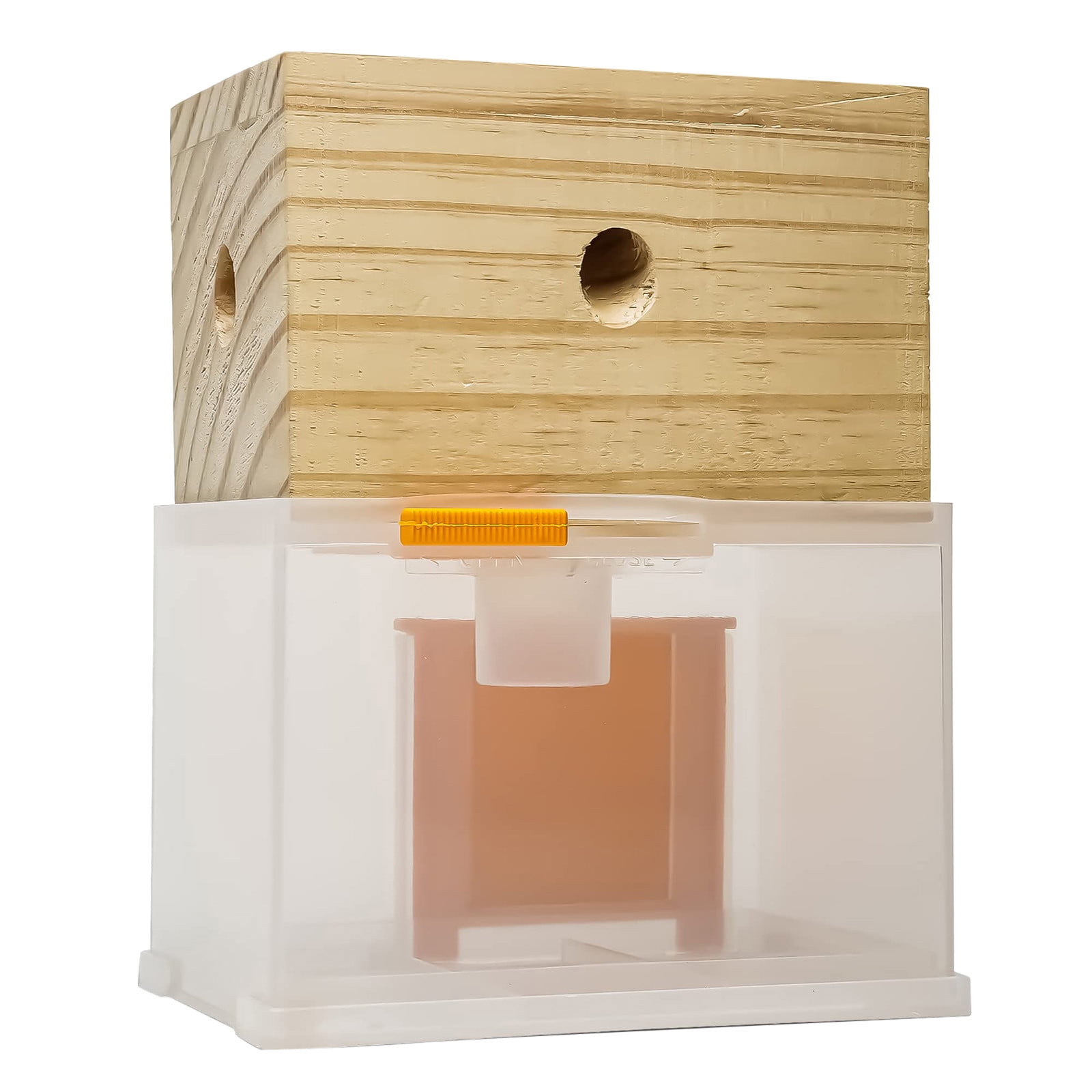 SXcggal Carpenter Trap Wood Boring Trap Unique Catch & Release Outdoor ...