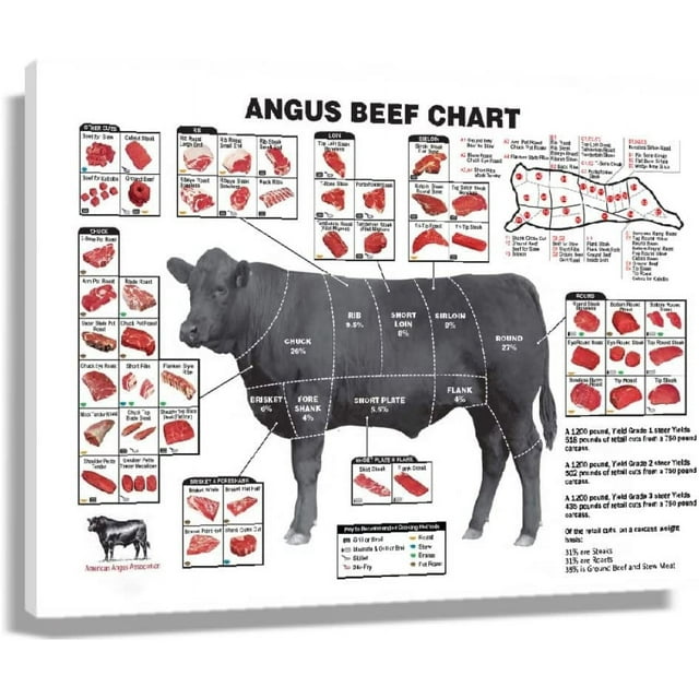 SYDposter Cuts of Beef Poster Chart Wall Art Decor Knowledge Paintings ...
