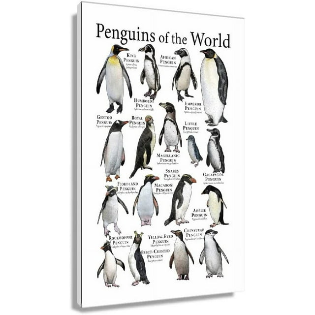 SYDposter Penguin Wall Art Unframed Artwork Canvas Animals Pictures ...