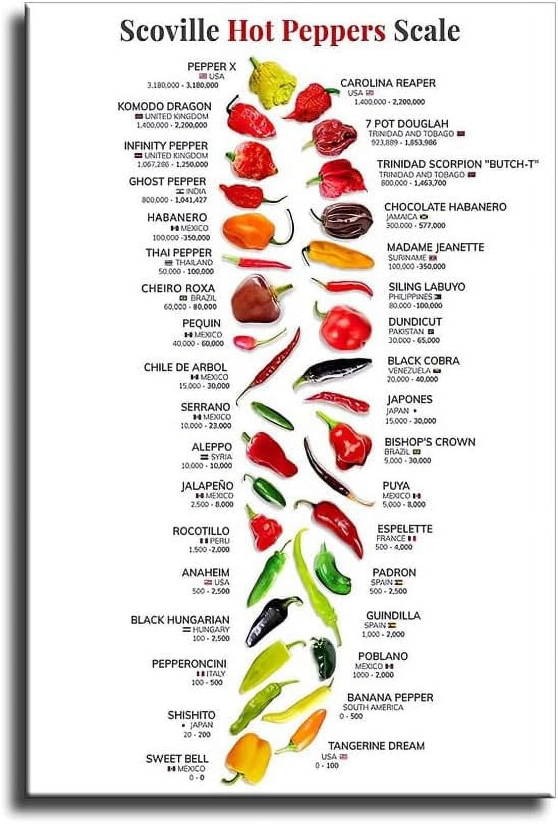 SYDposter Scovill Hot Peppers Scale , Chilli Capsicum Knowledge Posters ...
