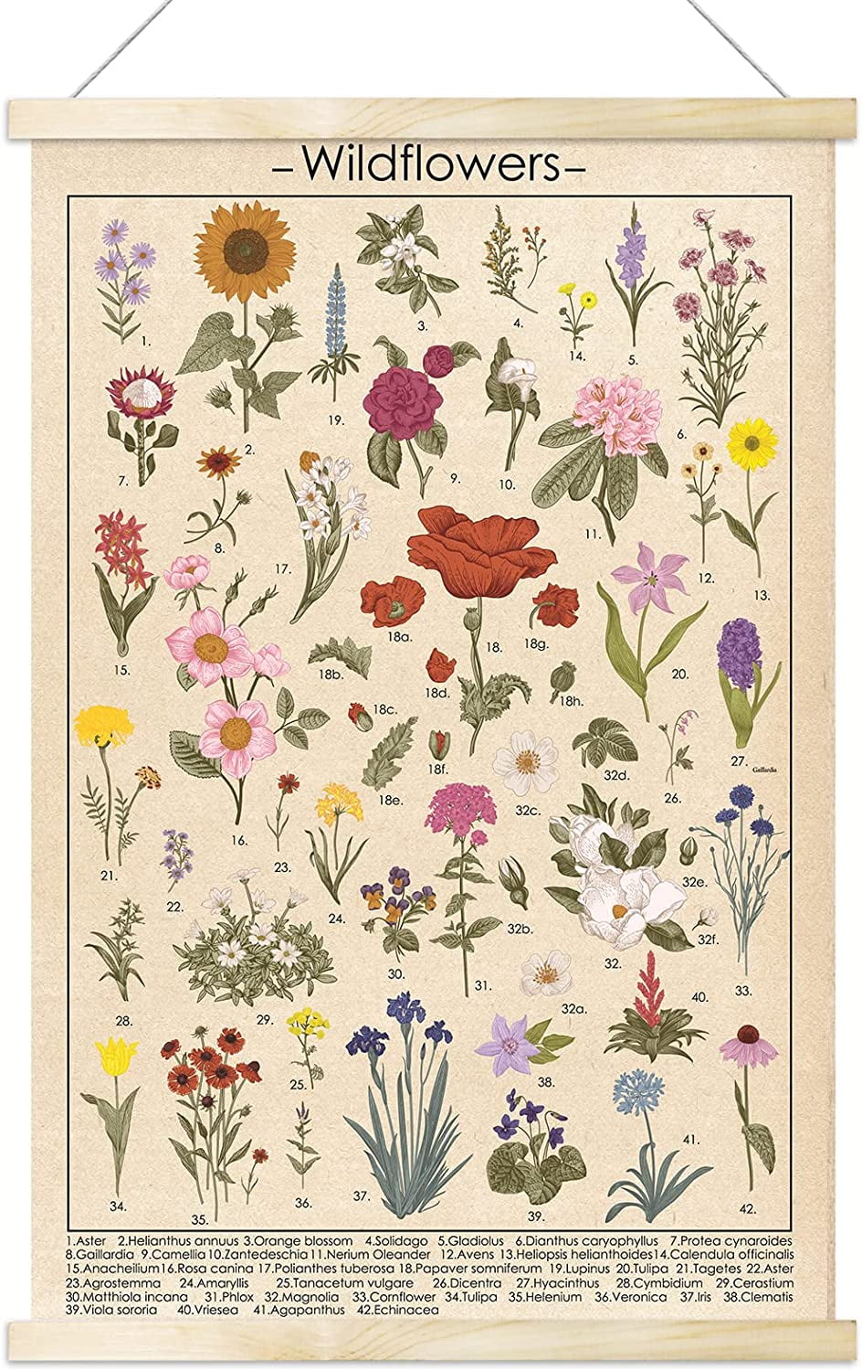 SYDposter Vintage Wildflowers Poster Botanical Wall Art Prints Colorful ...