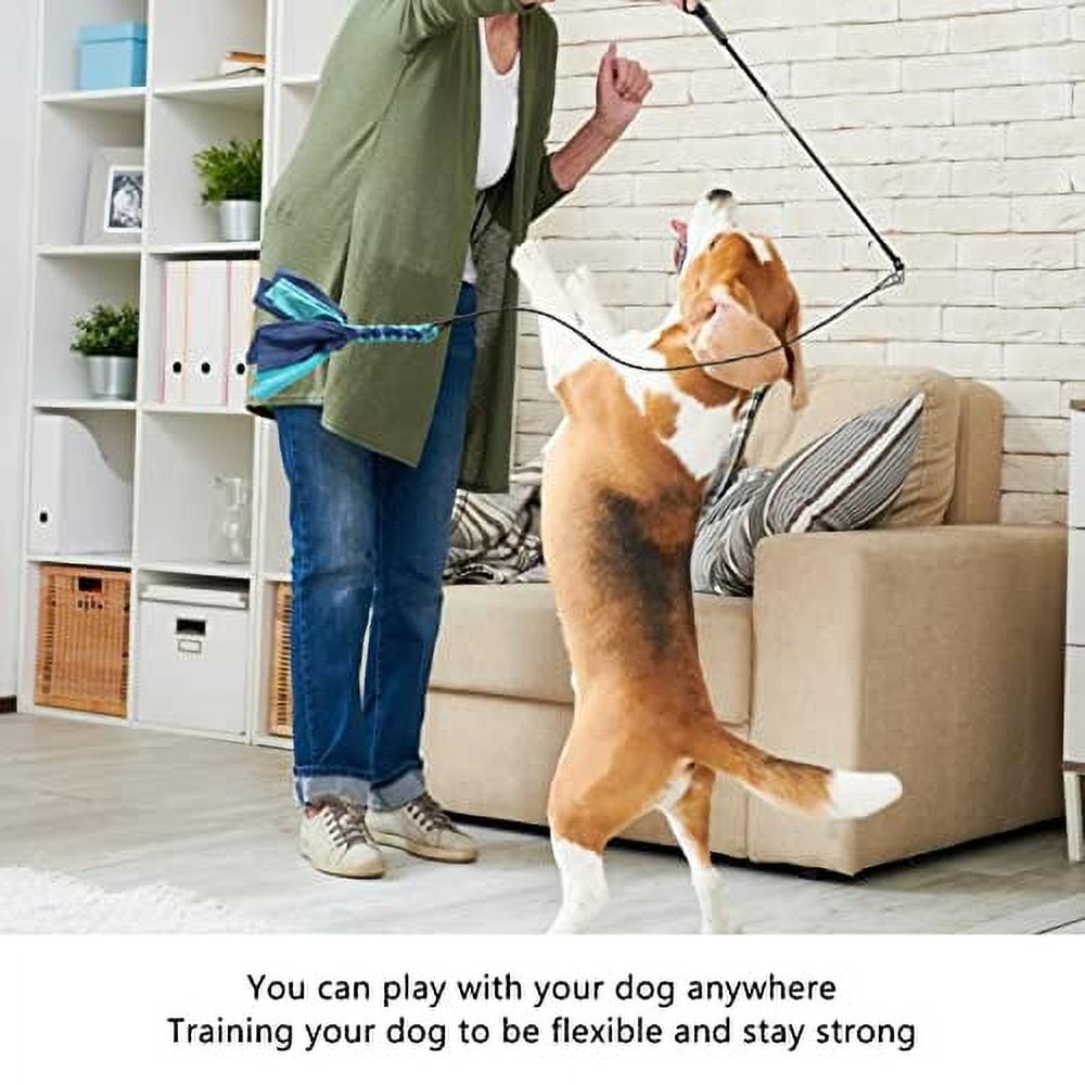 SYH&AQYE Dog Flirt Stick Retractable Interactive Tug Toy Interactive ...