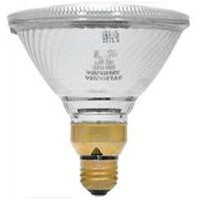 SYLVANIA CAPSYLITE® HALOGEN FLOOD LAMP, PAR38, 60 WATT, 120 VOLTS ...