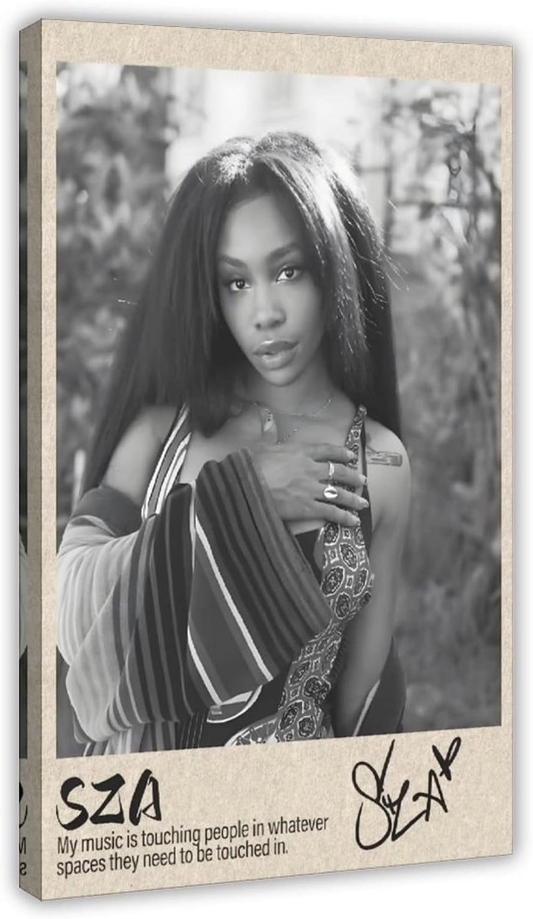 SZA Ctrl Album Cover Poster Canvas Poster Bedroom Decor Sports ...