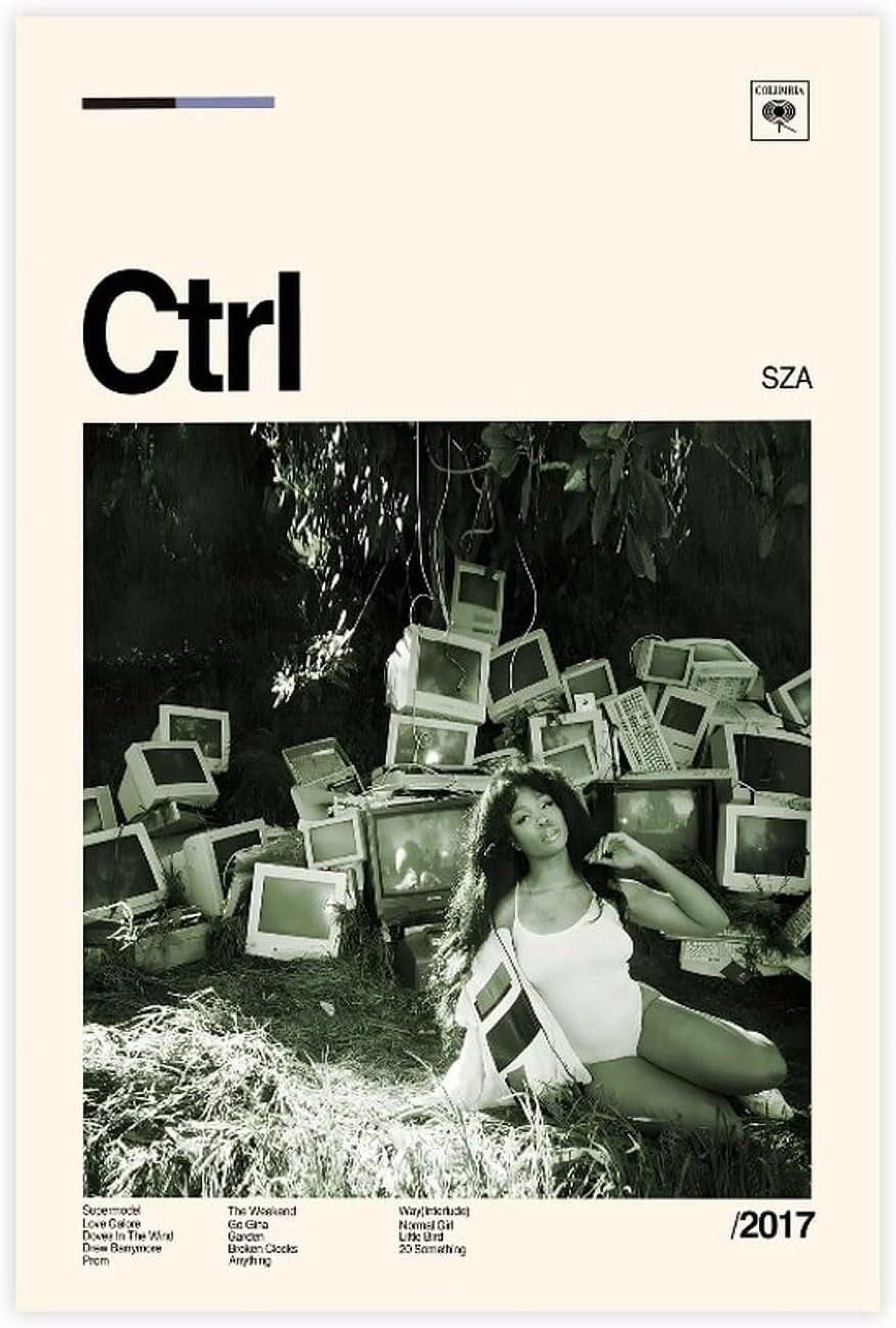SZA Ctrl Album Cover Poster Canvas Poster Bedroom Decor Sports ...