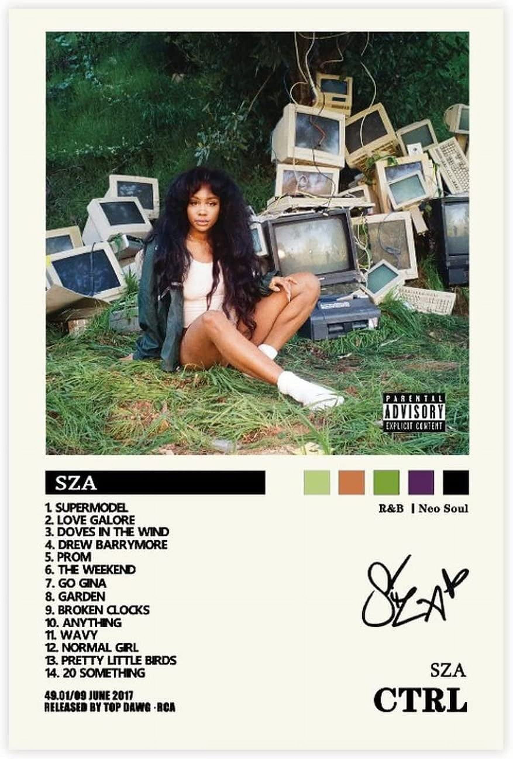 SZA Ctrl Album Cover Poster Canvas Poster Bedroom Decor Sports ...