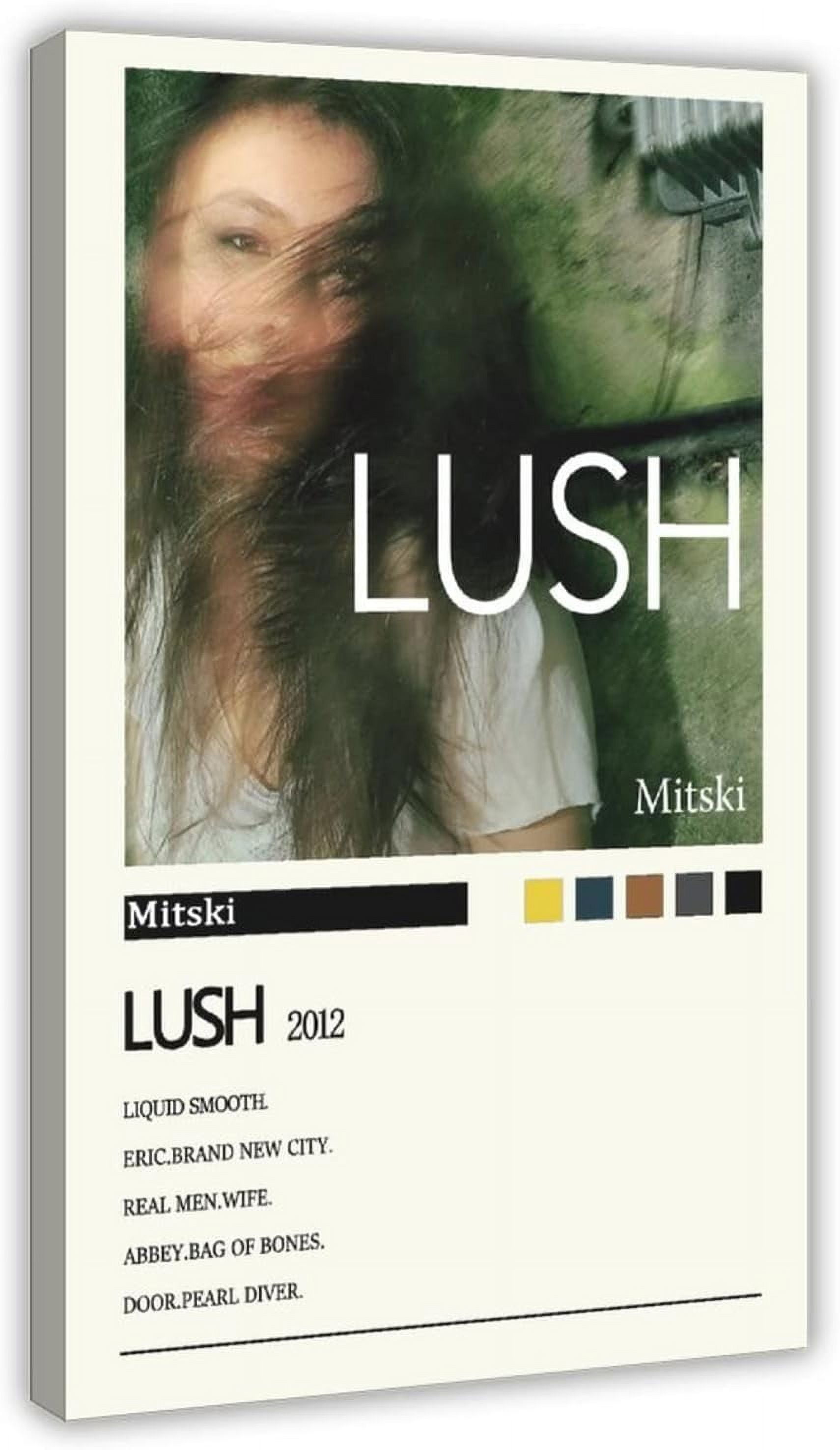 SZA Ctrl Album Cover Poster Canvas Poster Bedroom Decor Sports ...