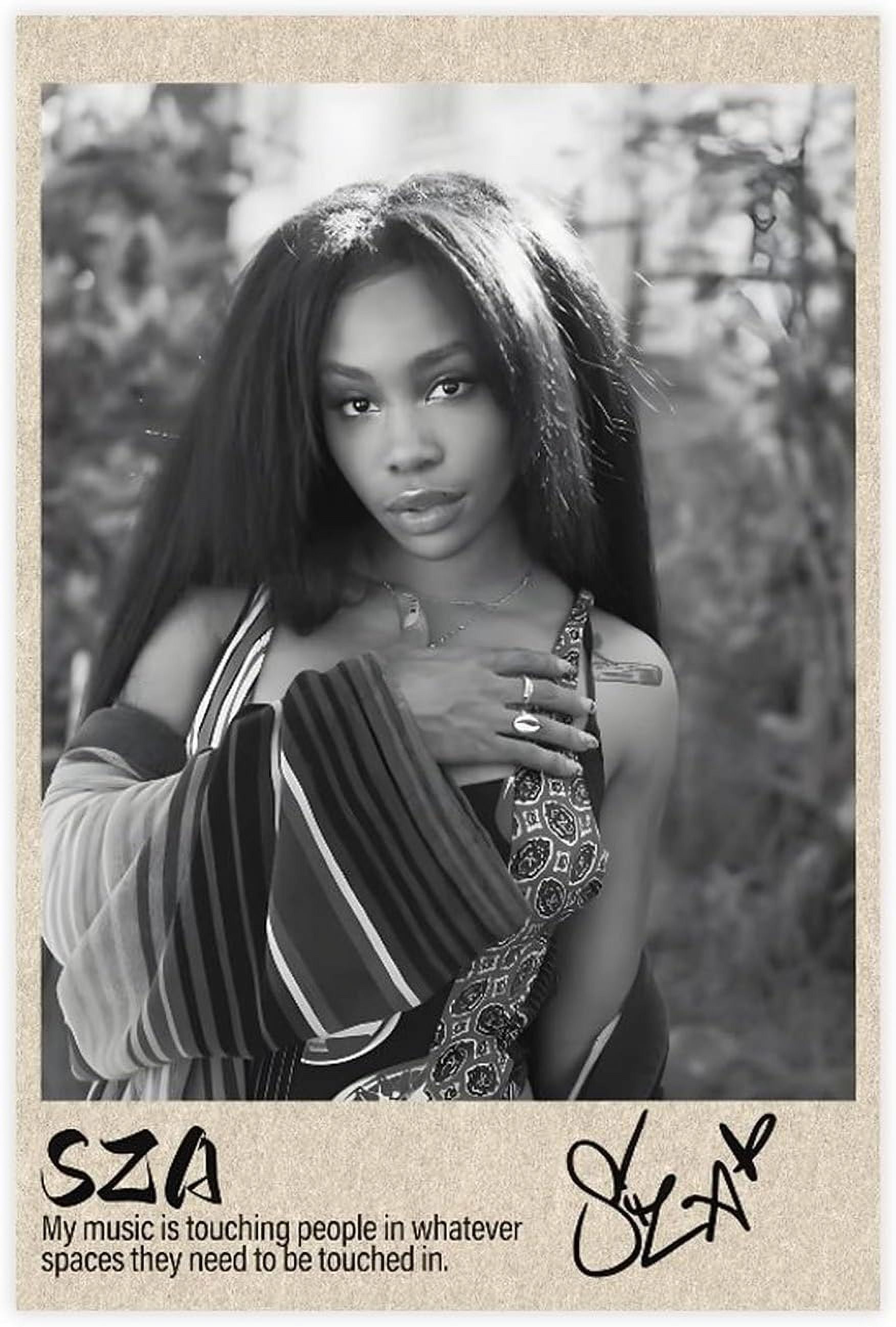 SZA Ctrl Album Cover Poster Canvas Poster Bedroom Decor Sports ...