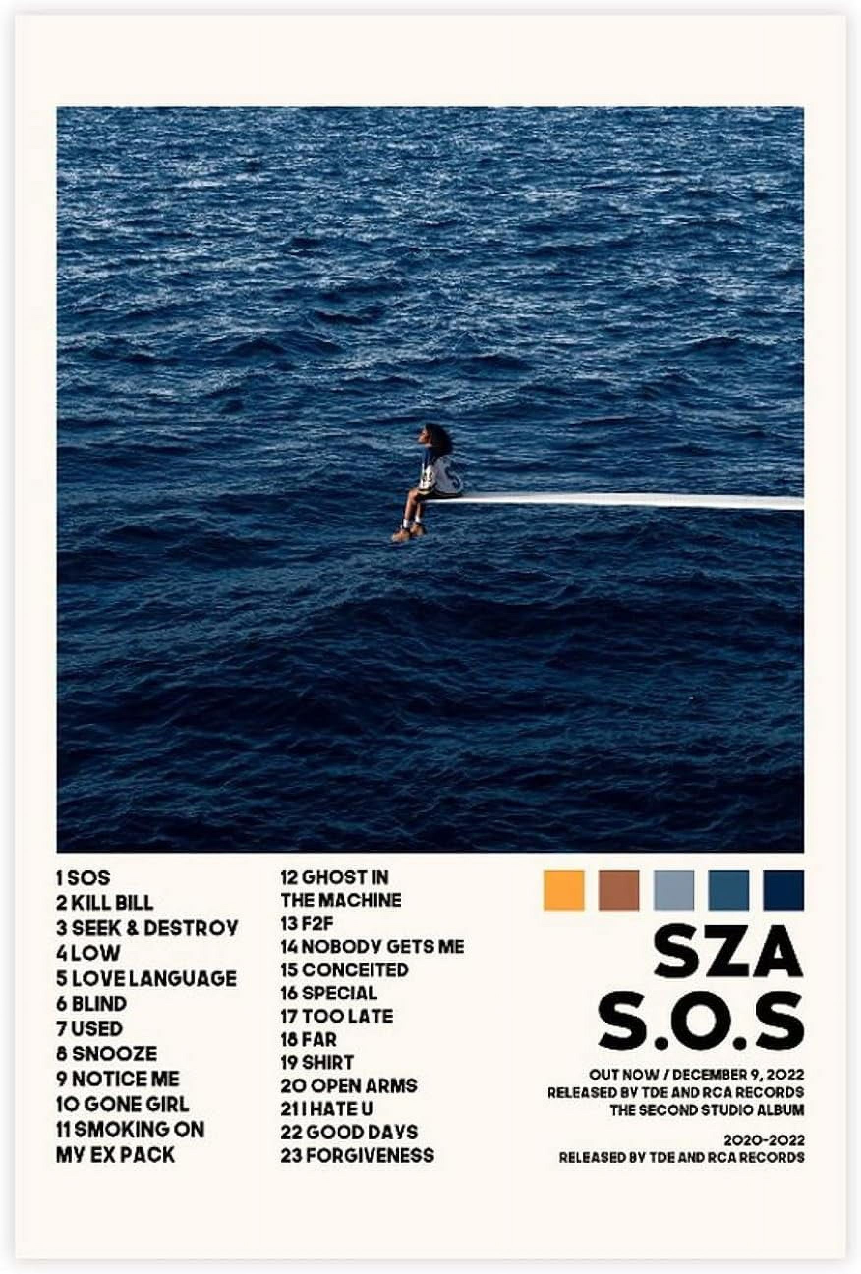 SZA Ctrl Album Cover Poster Canvas Poster Bedroom Decor Sports ...