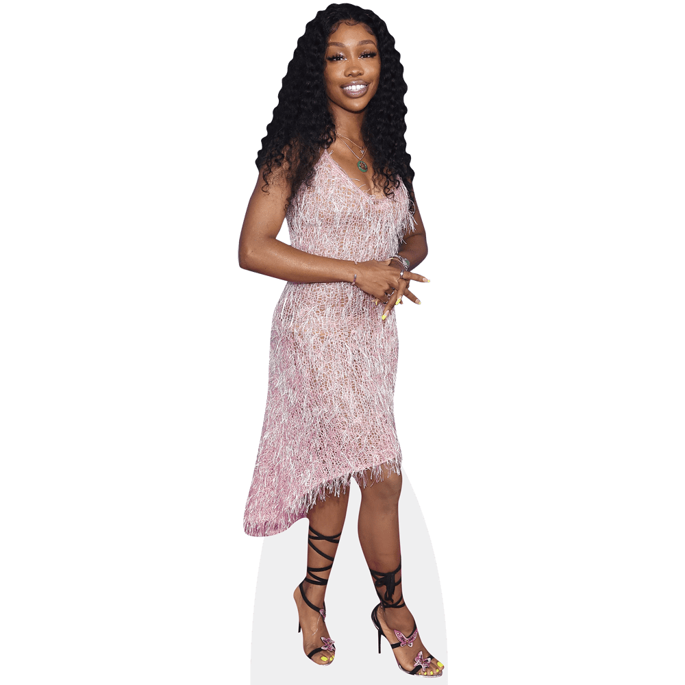 SZA (Pink) Lifesize Cardboard Cutout Standee - Walmart.com