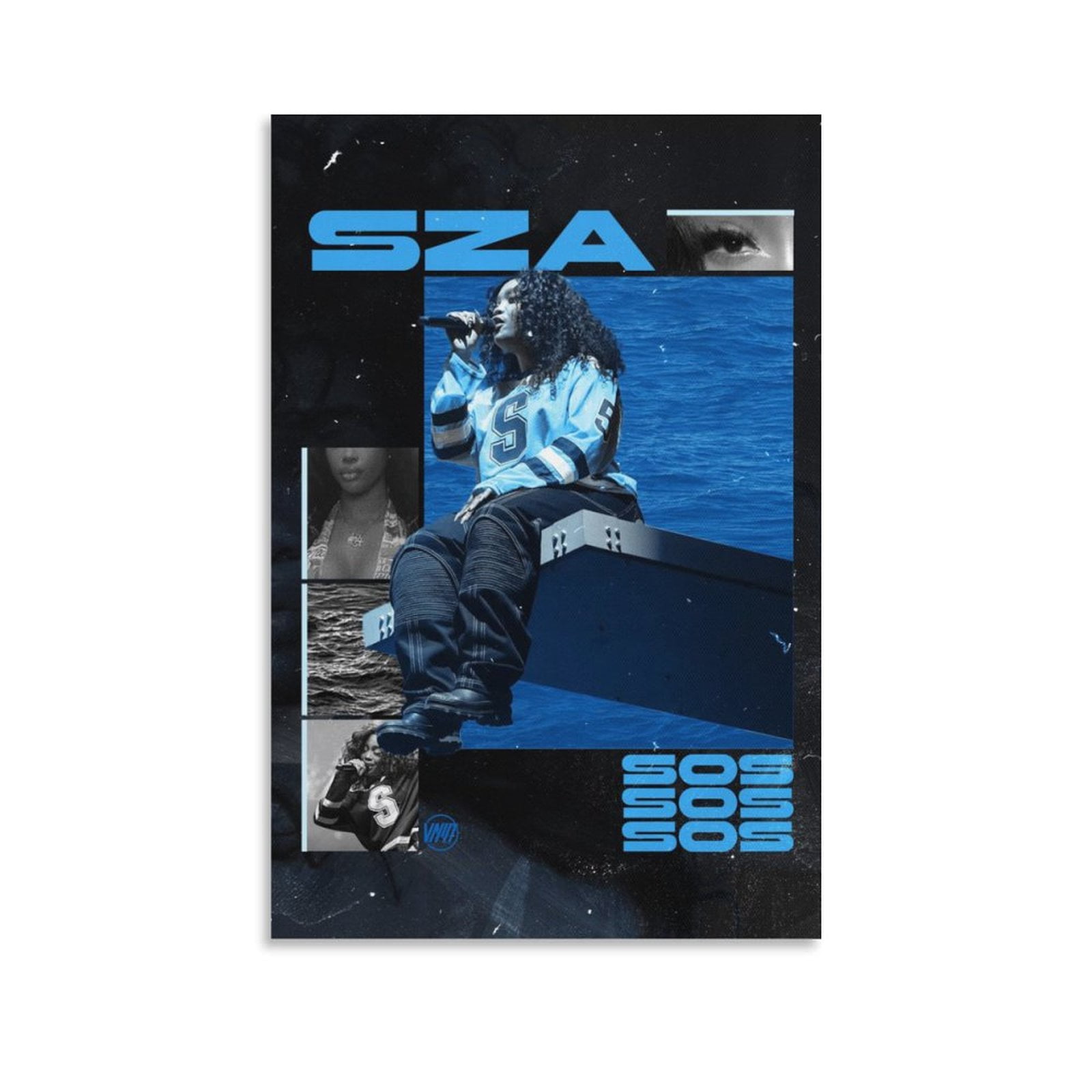 SZA Poster Deluxe Album Cover Poster Character Poster(6) Canvas Poster ...