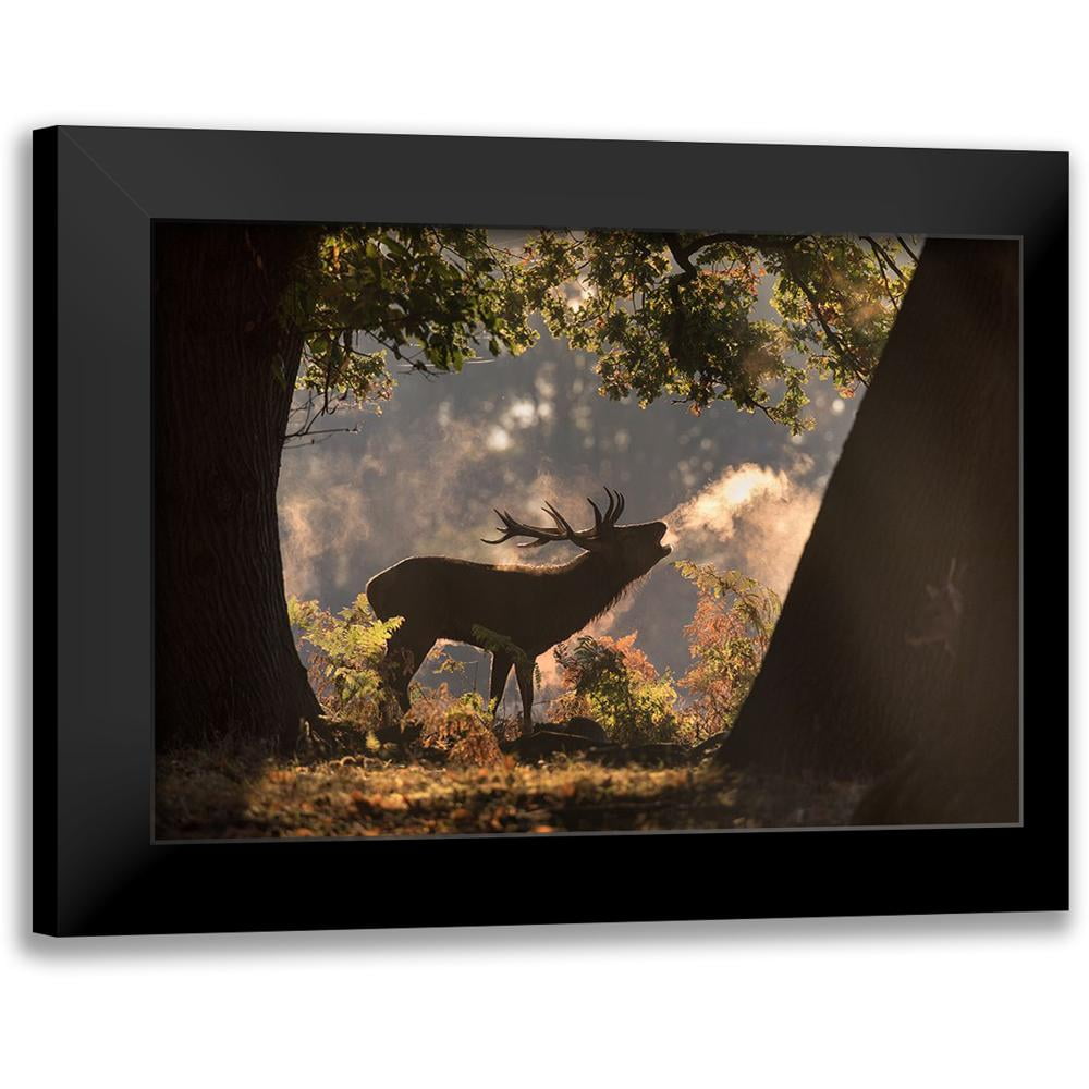 Saberi, Alex 24x18 Black Modern Framed Museum Art Print Titled - He ...