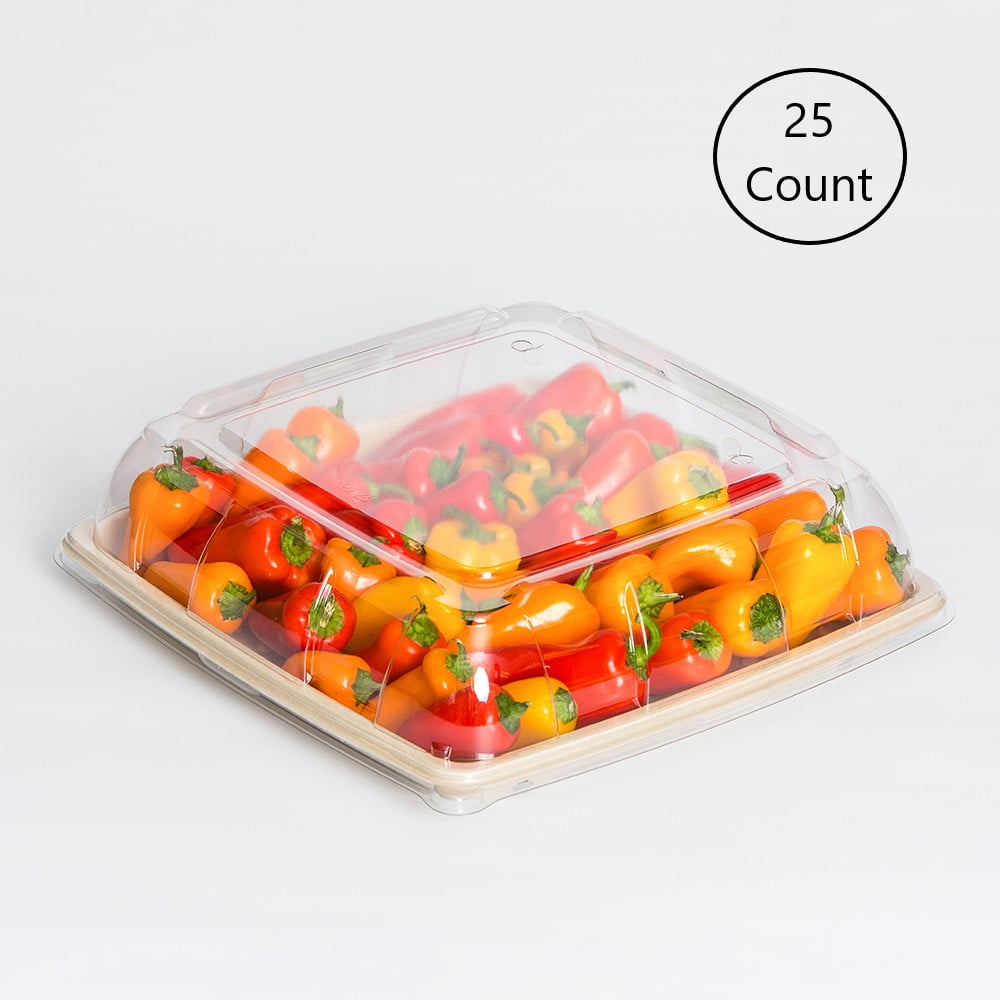 Sabert TerraPac Clear, Sustainable PET Plastic Lid for 12 Inch Pulp ...