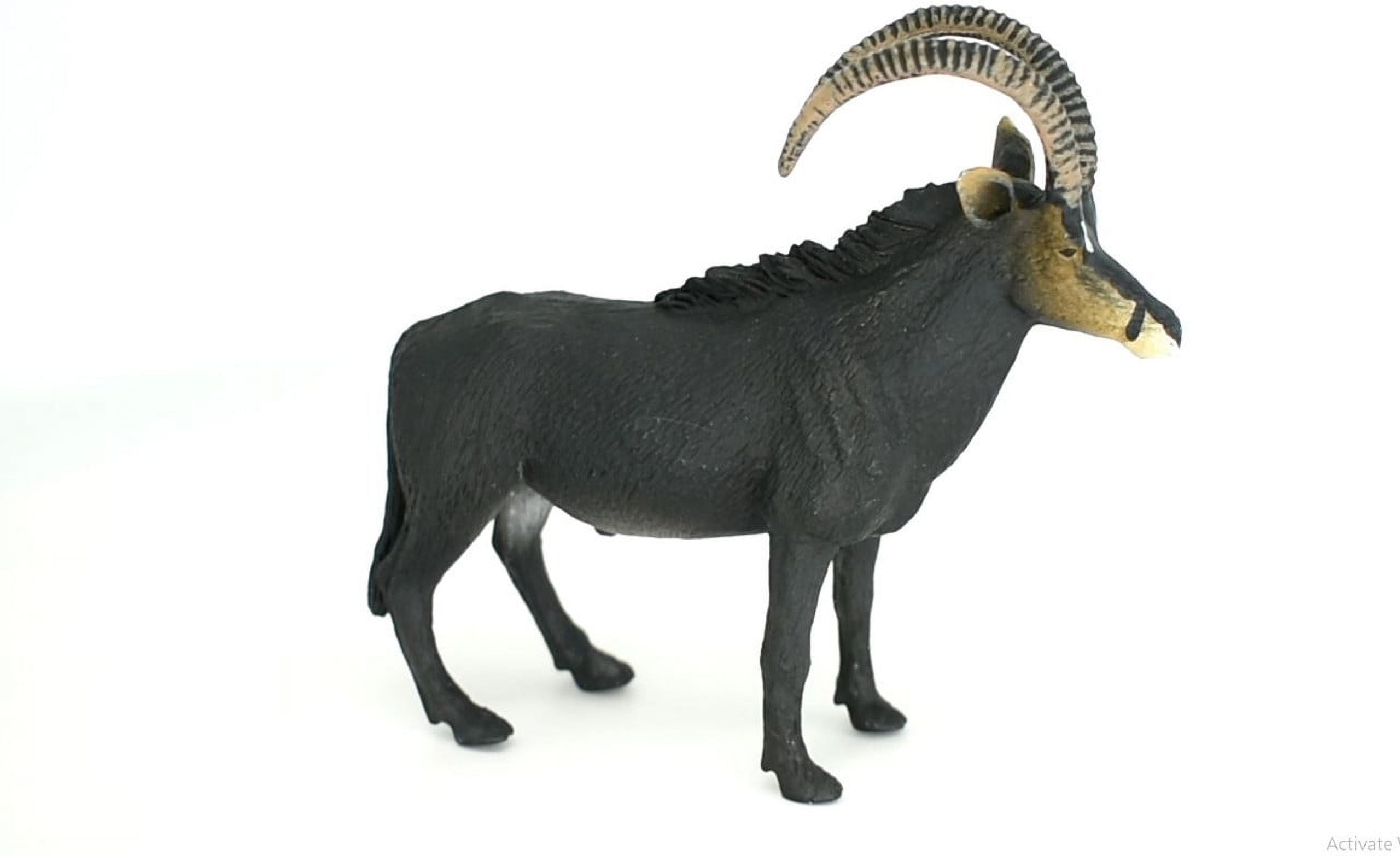 Sable, Antelope, Museum Quality Plastic Animal Toy, Educational ...