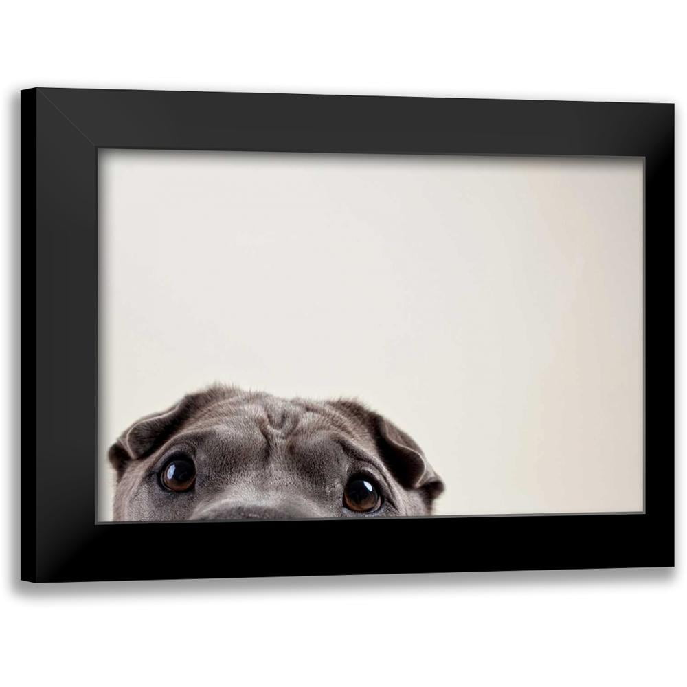 Sabo, Susan 14x11 Black Modern Framed Museum Art Print Titled - Peleis ...