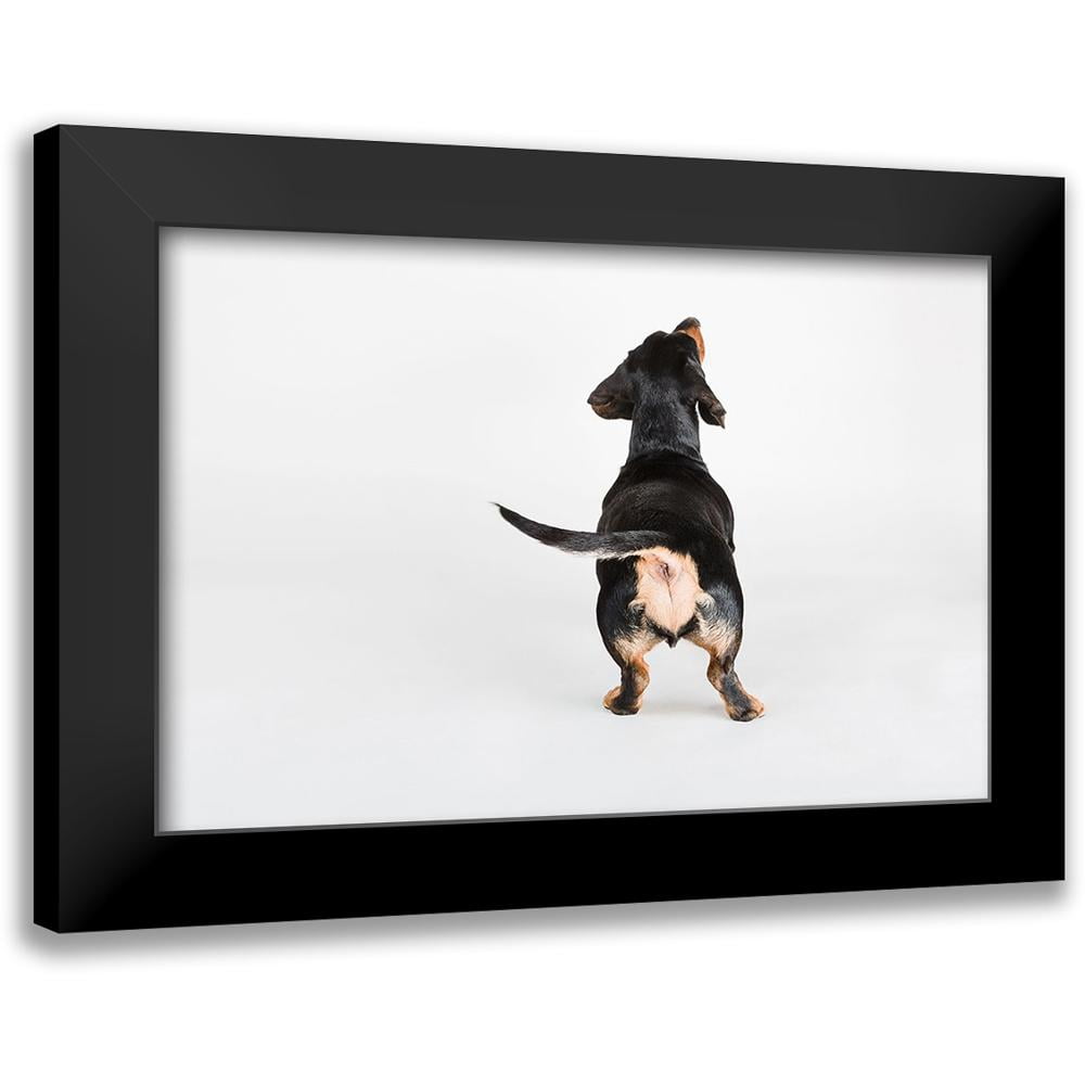 Sabo, Susan 14x11 Black Modern Framed Museum Art Print Titled - The ...