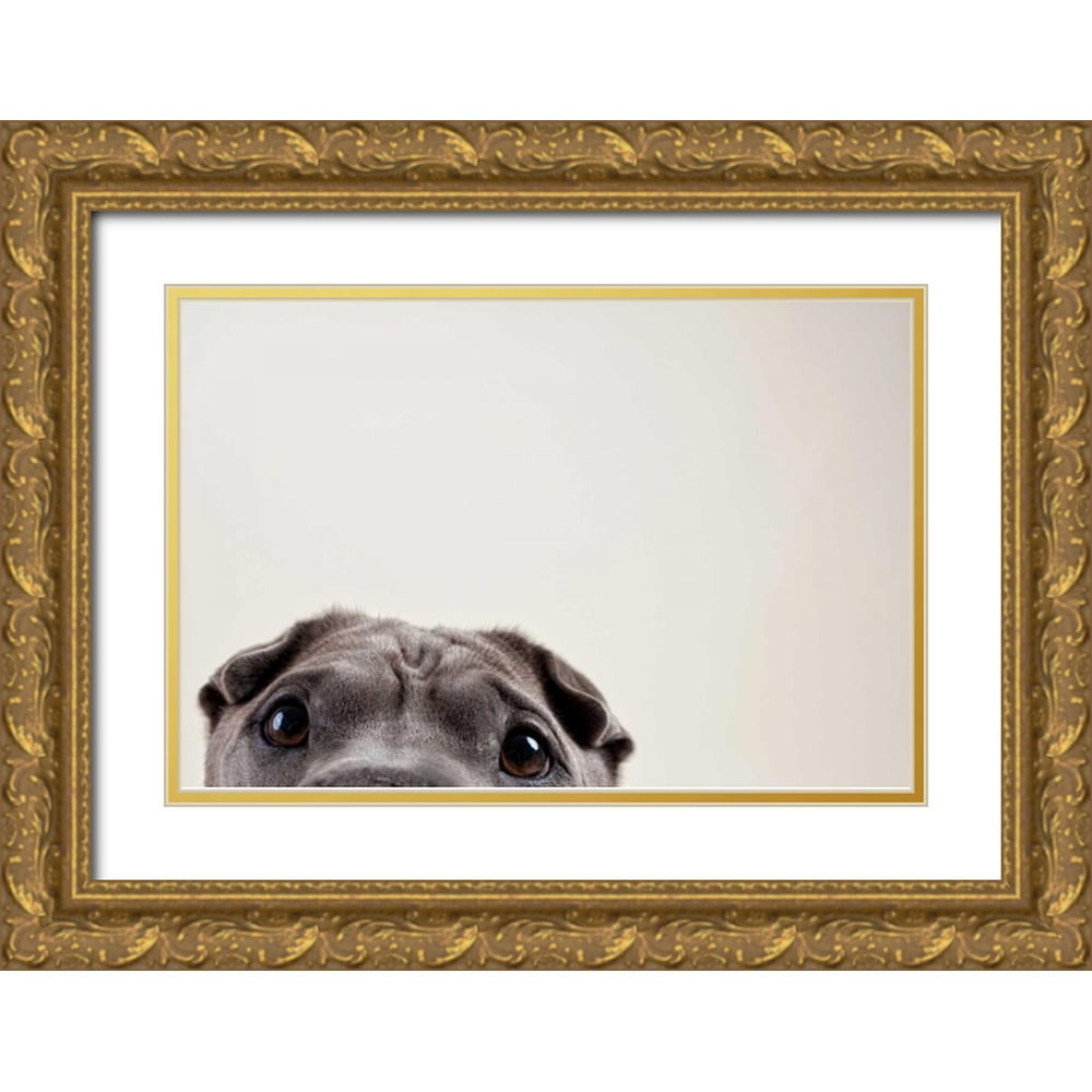 Sabo, Susan 14x11 Gold Ornate Wood Framed with Double Matting Museum ...