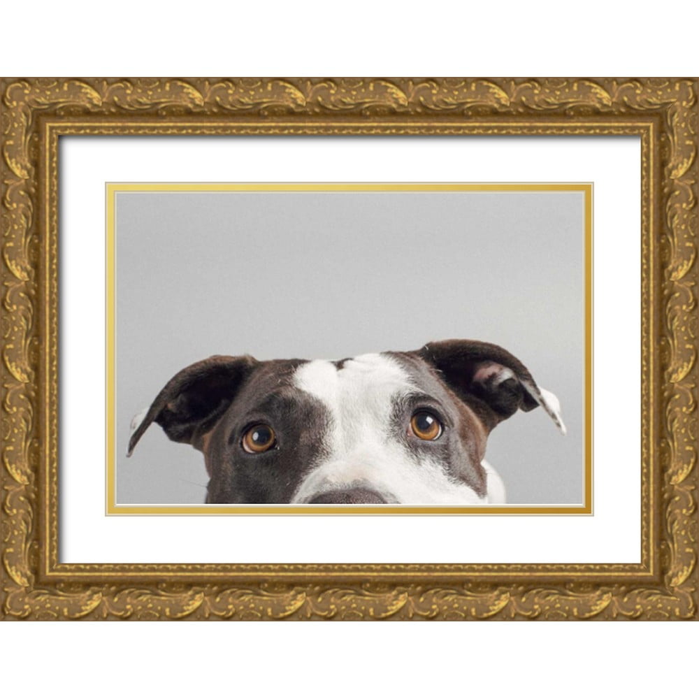 Sabo, Susan 14x11 Gold Ornate Wood Framed with Double Matting Museum ...