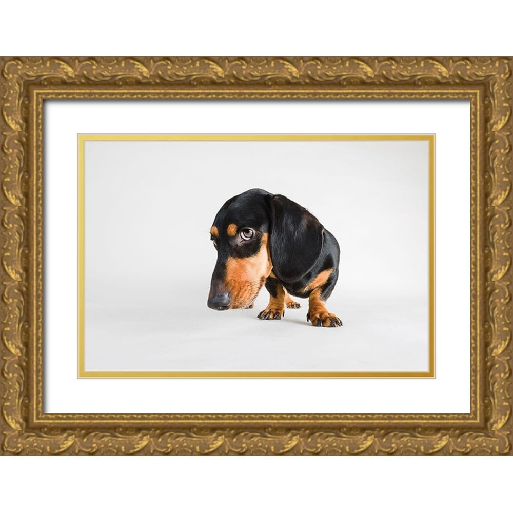 Sabo, Susan 14x11 Gold Ornate Wood Framed with Double Matting Museum ...